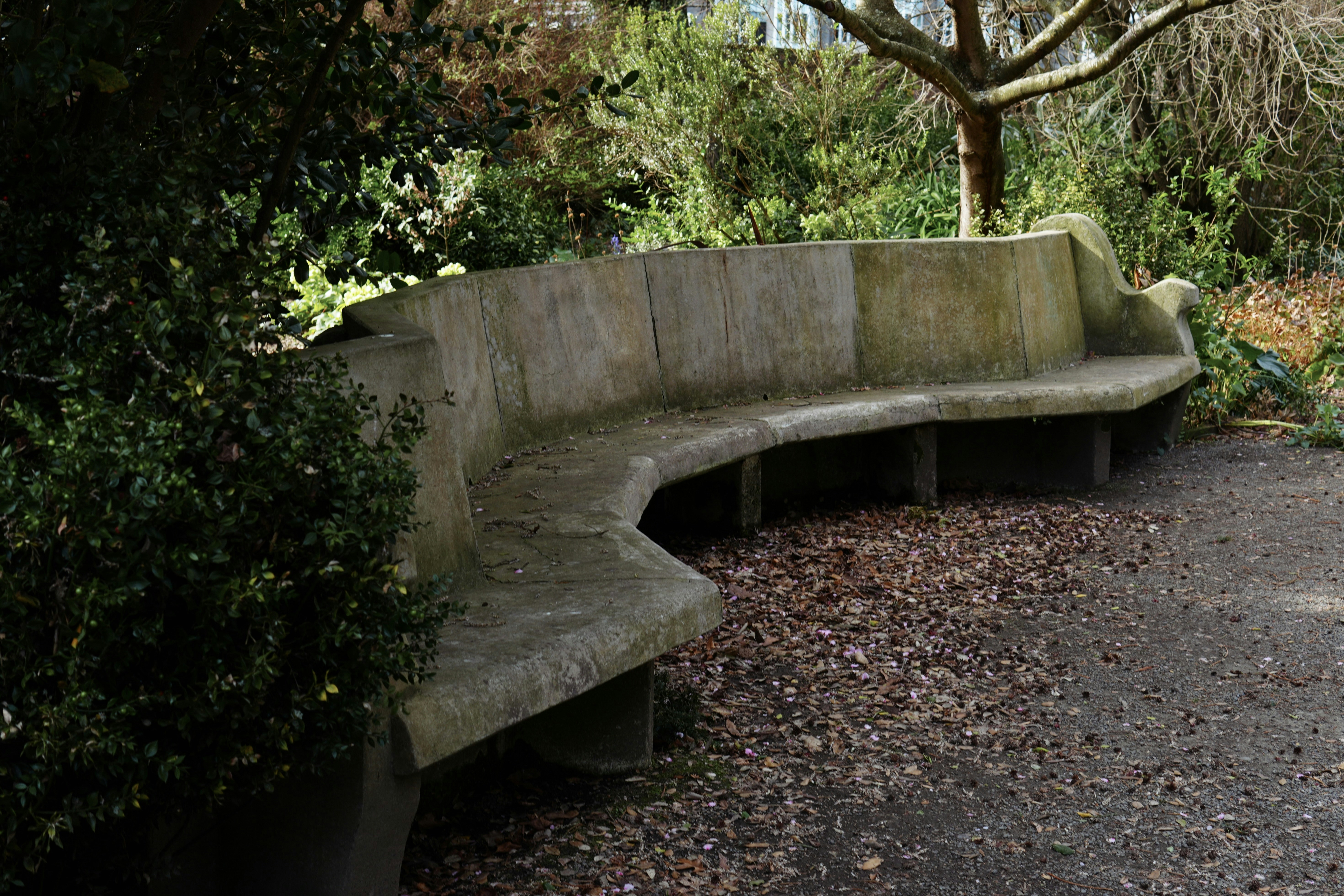 Curved concrete bench embraces a quiet garden corner