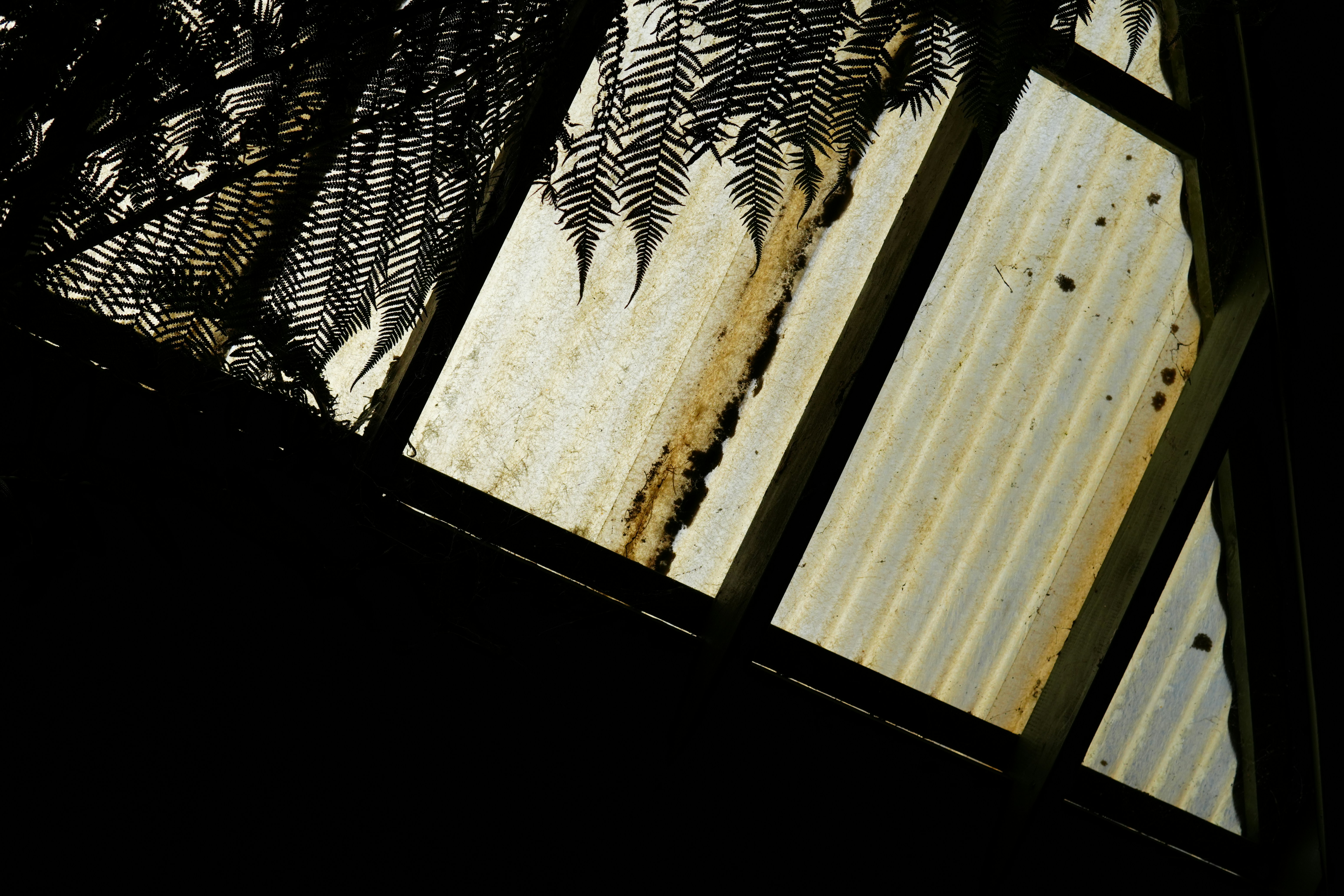Fractured Light Through a Cold Window