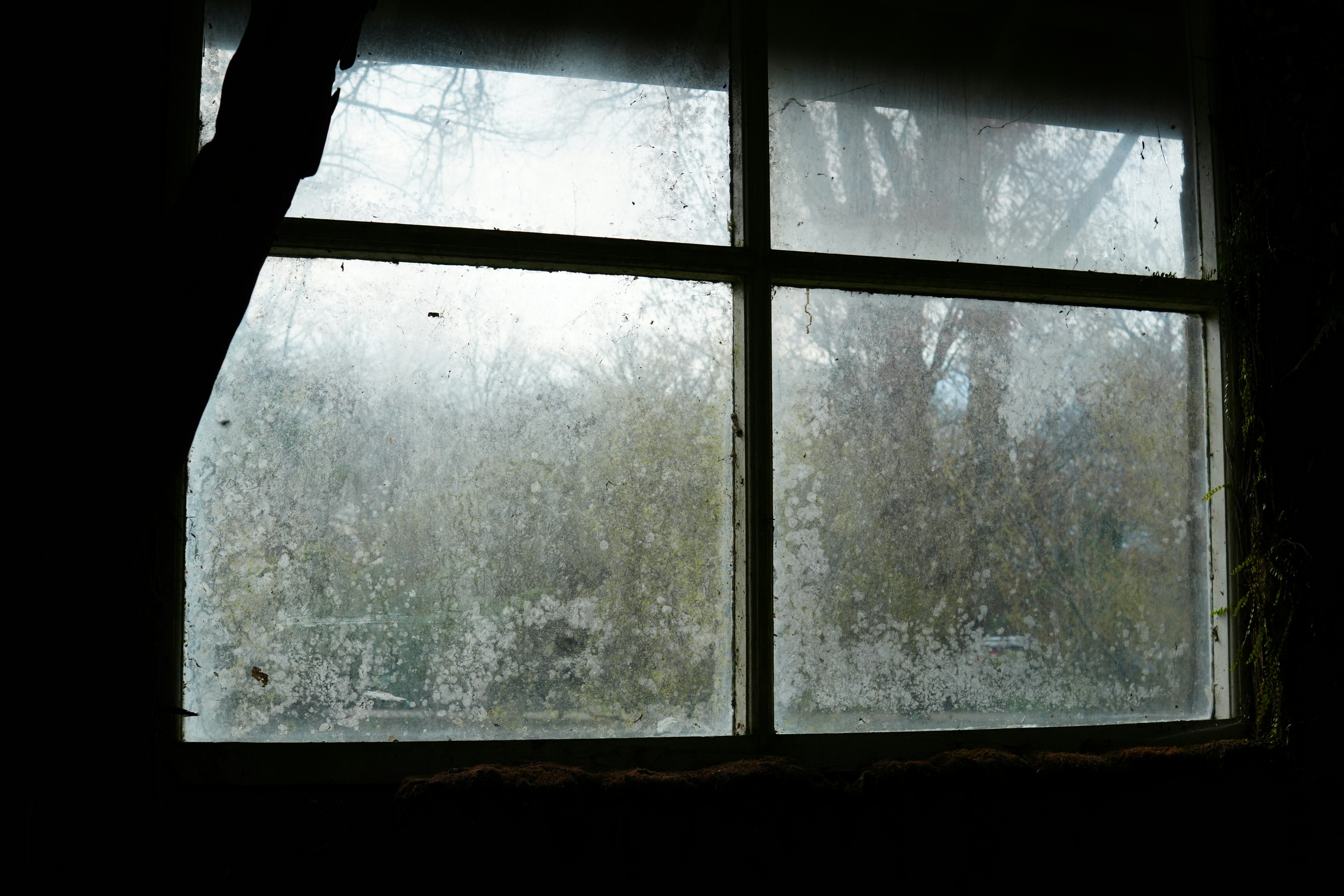 Fogged Window, Quiet Room