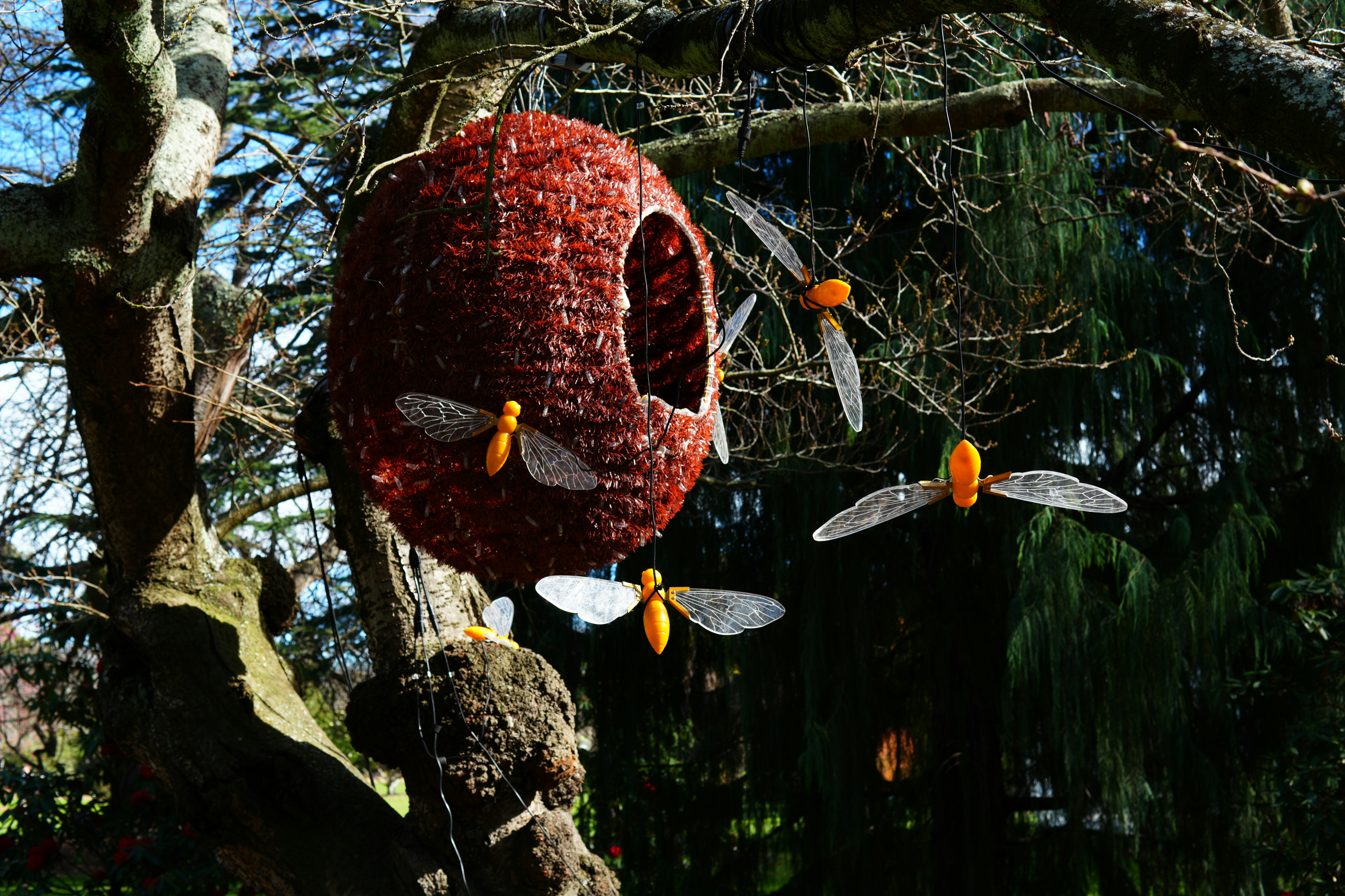 Birdhouse Bloom: A Red Feathery Nook in Full Swing