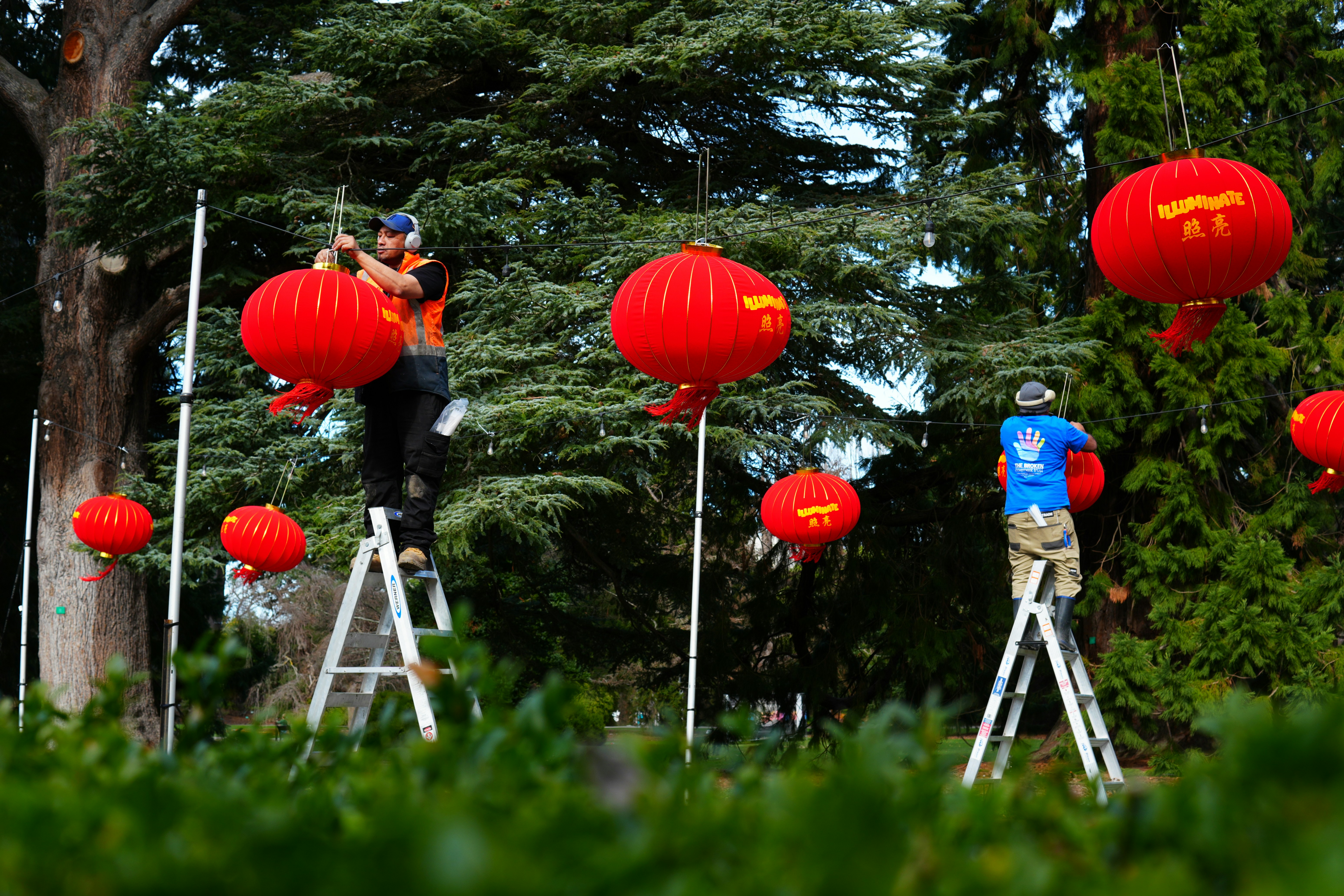 Lantern Crew Upward: Workers Adorning Red Orbs in Park