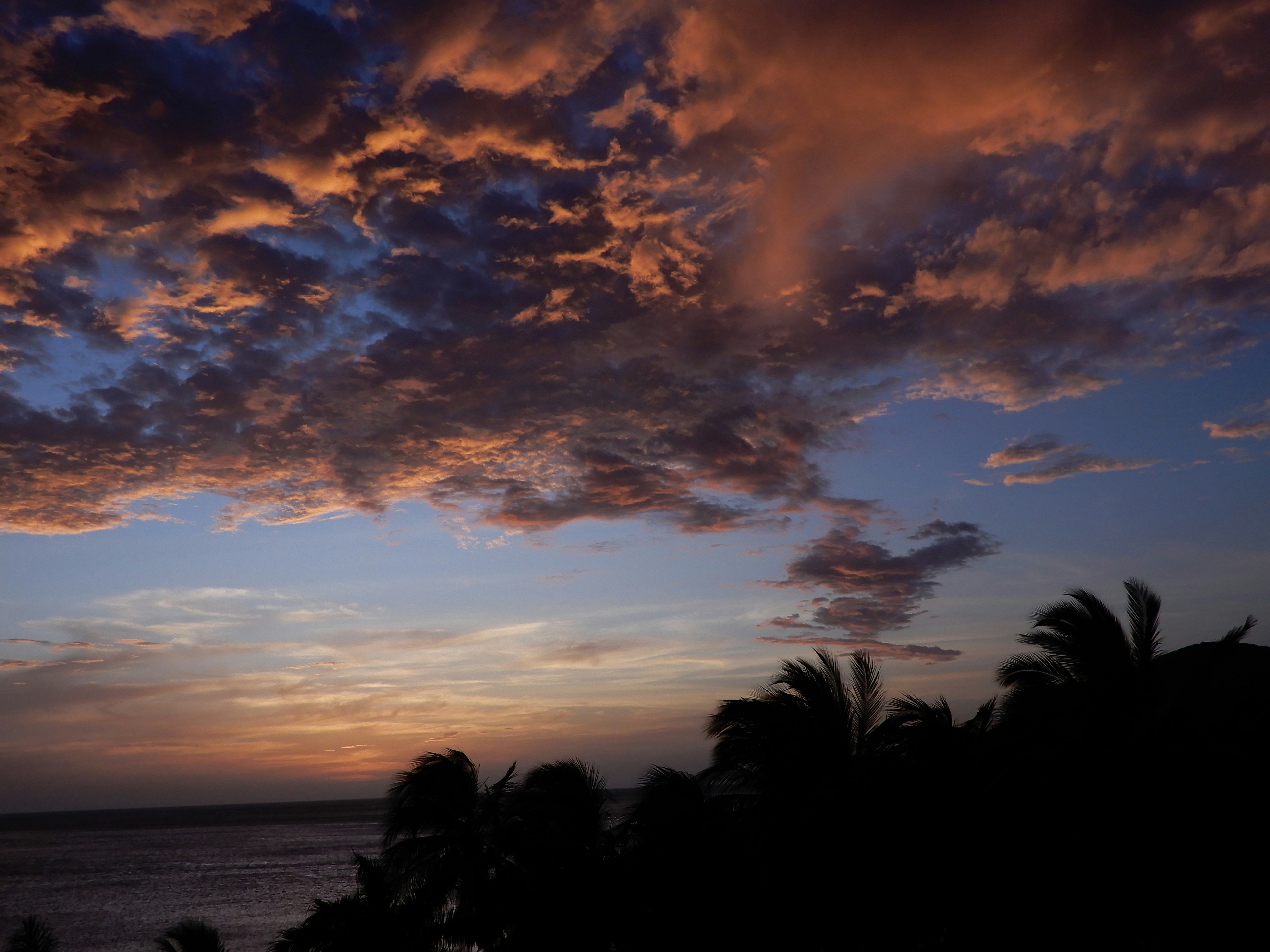Silhouetted palm fronds outline a tranquil sea as a dramatic sunset fills the sky with orange and purple hues.