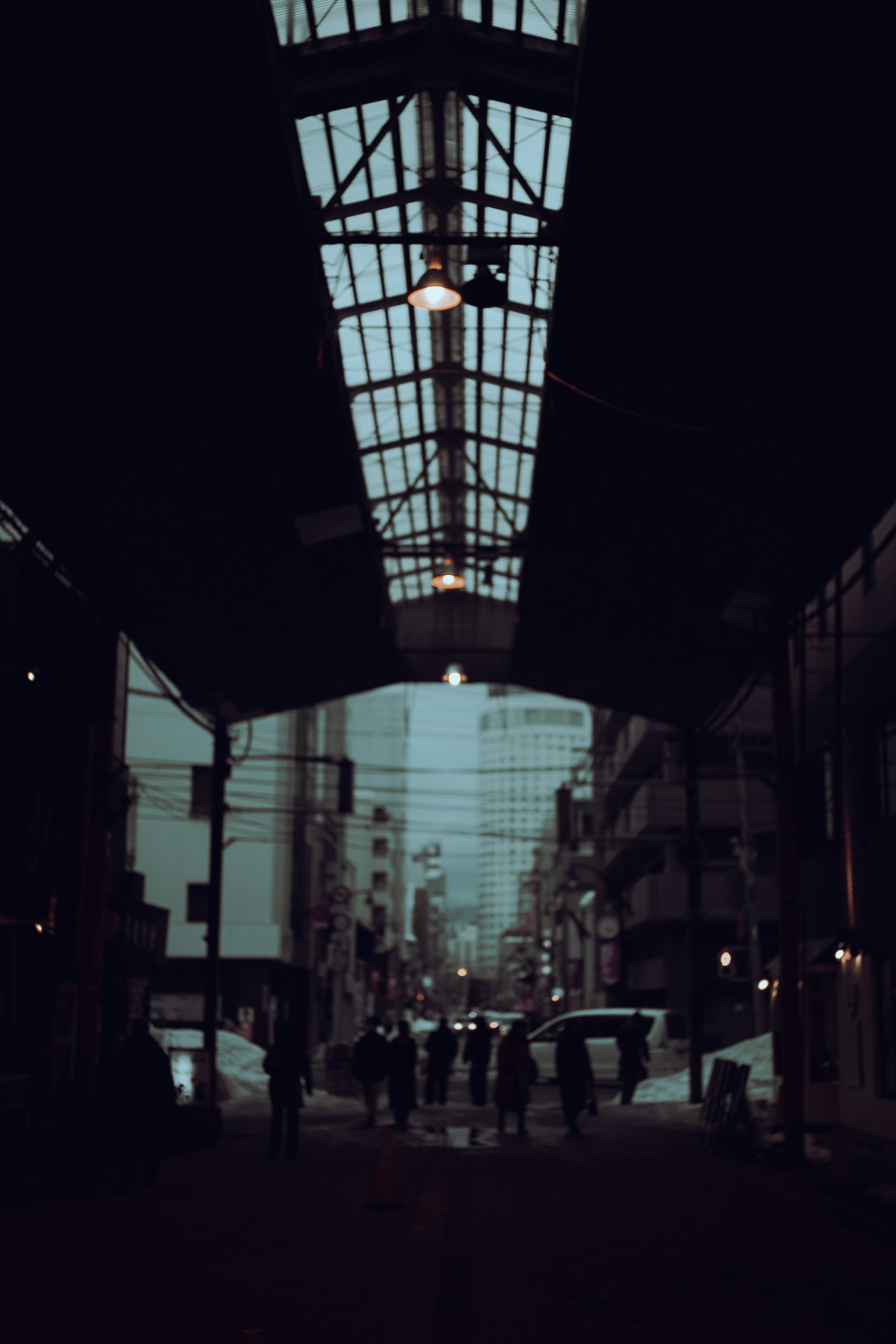 Midday in the Glass-Canopied Market: silhouettes Under Steel and Sky