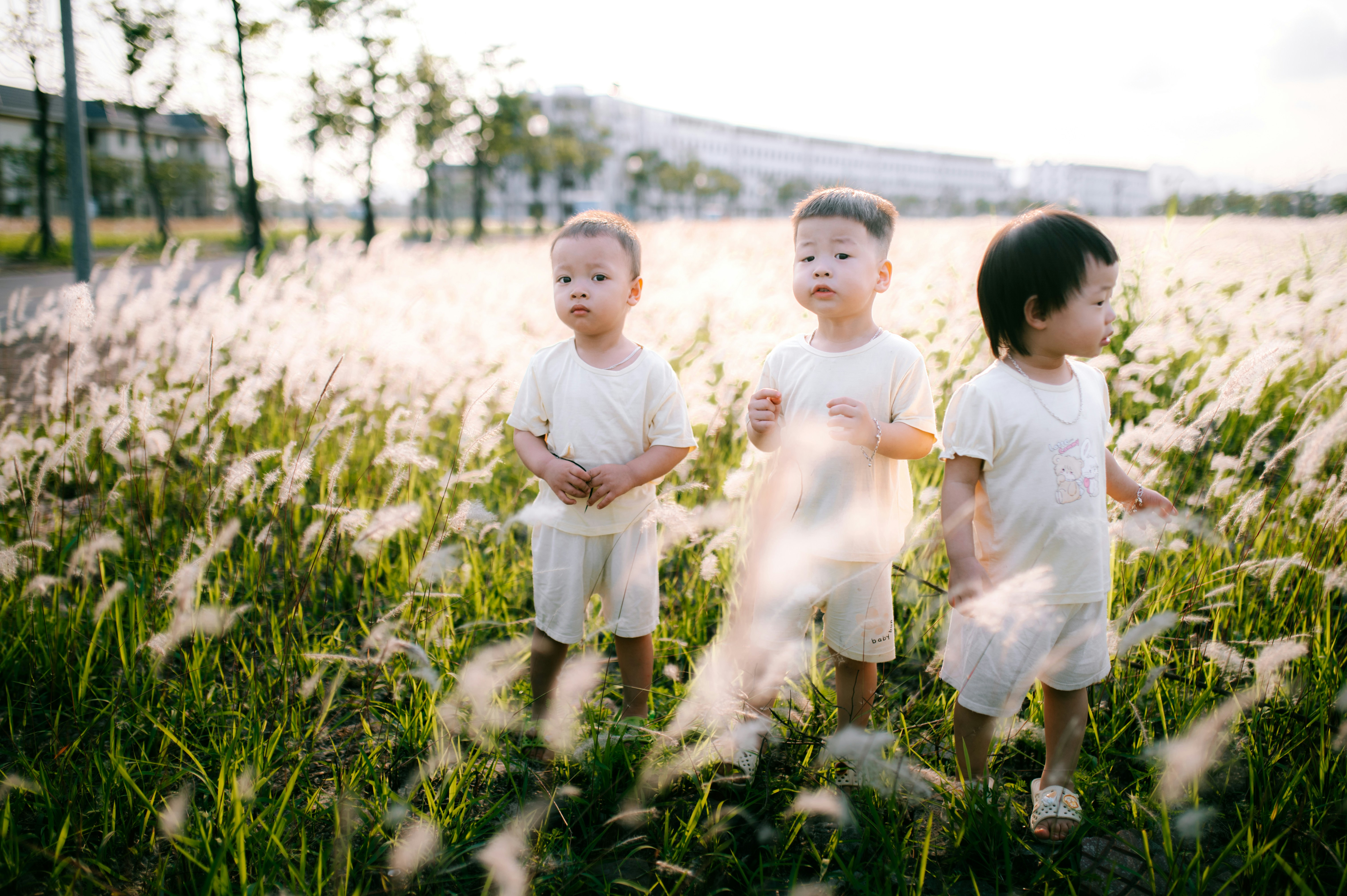 Three Innocents in a Meadow of Plush Sprigs