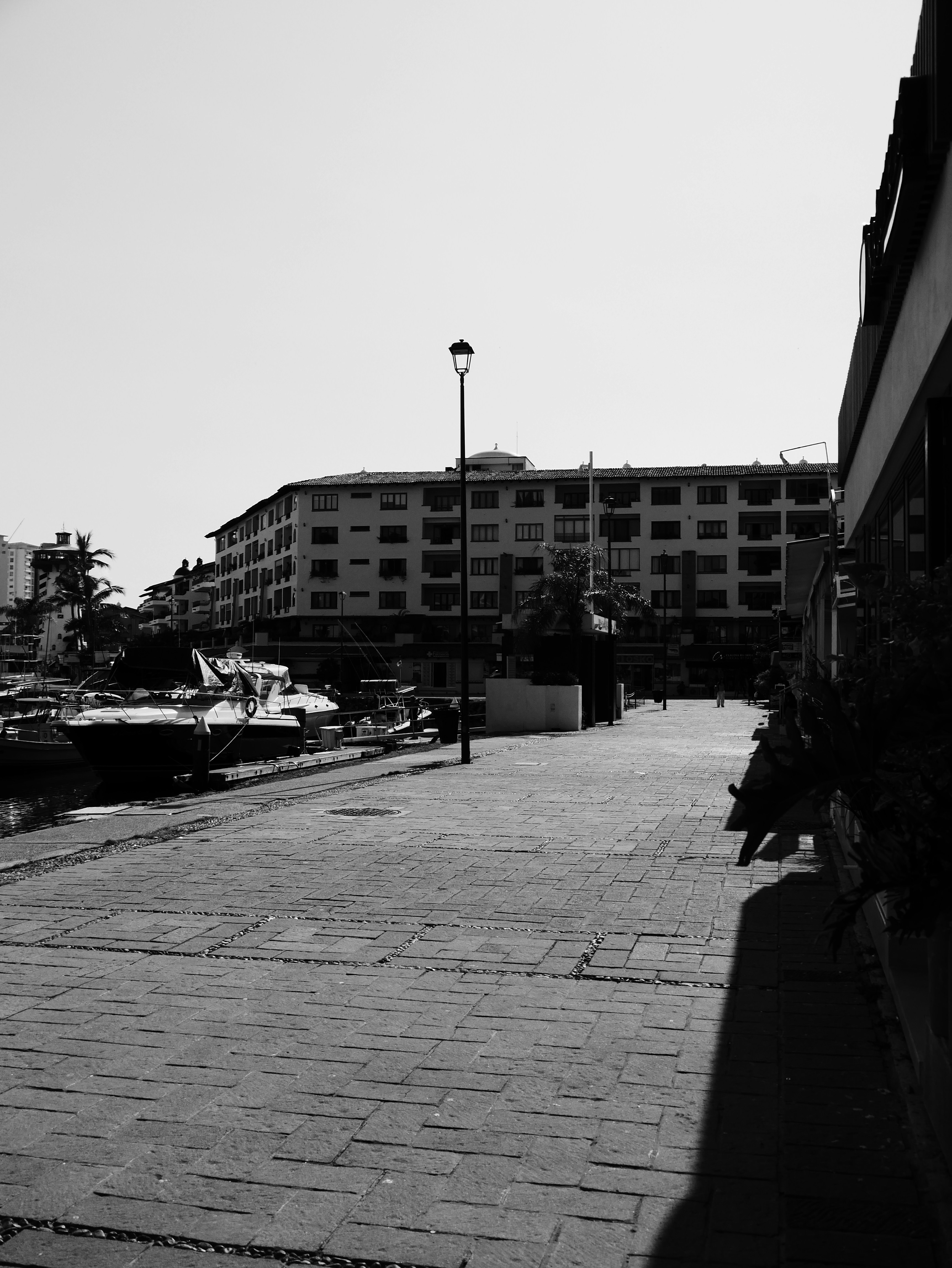 Harbor Promenade in Monochrome