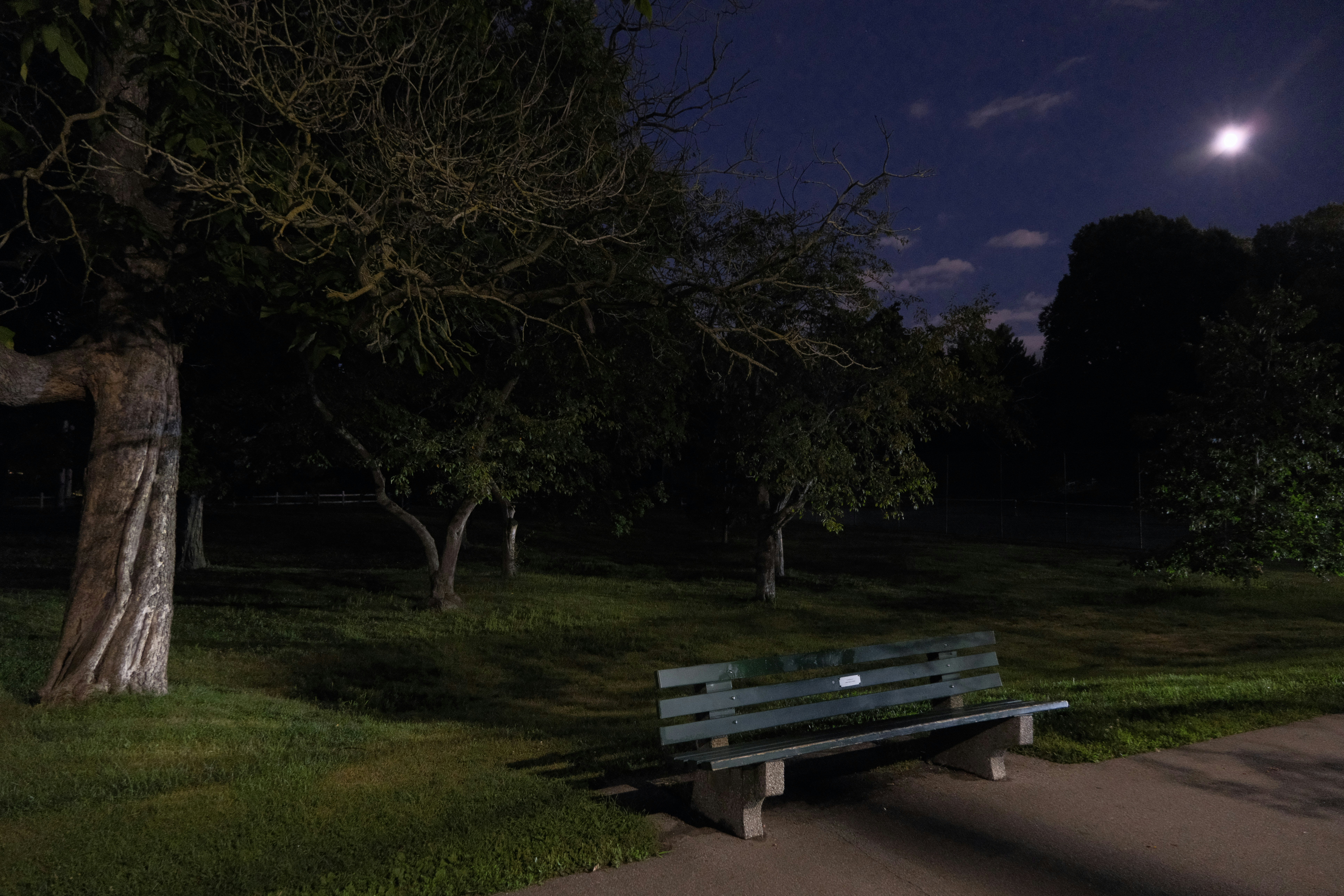 Moonlit Park Bench Under a Night Sky