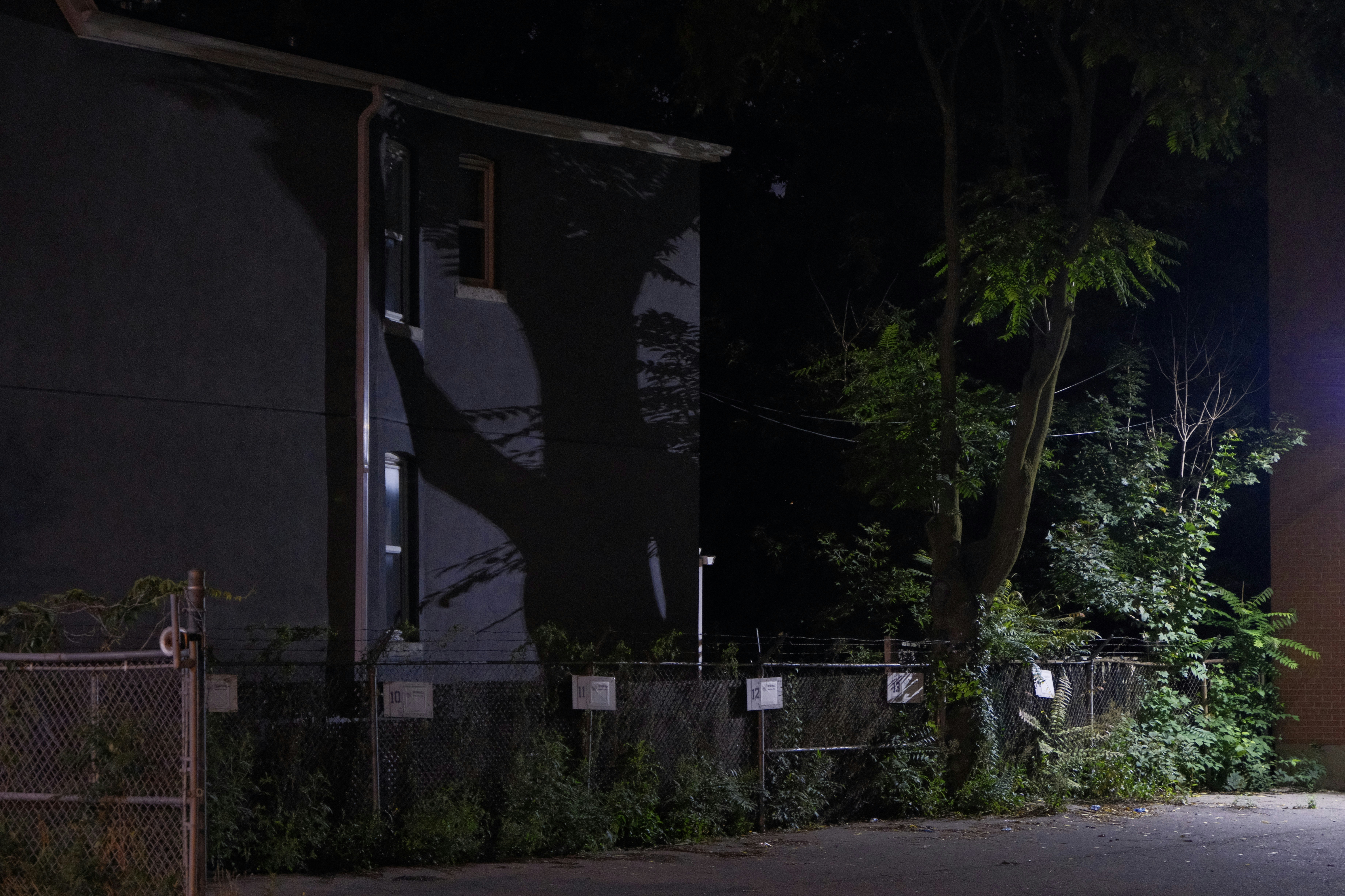 Shadowed Facade: Night Fence and Overgrown Lot