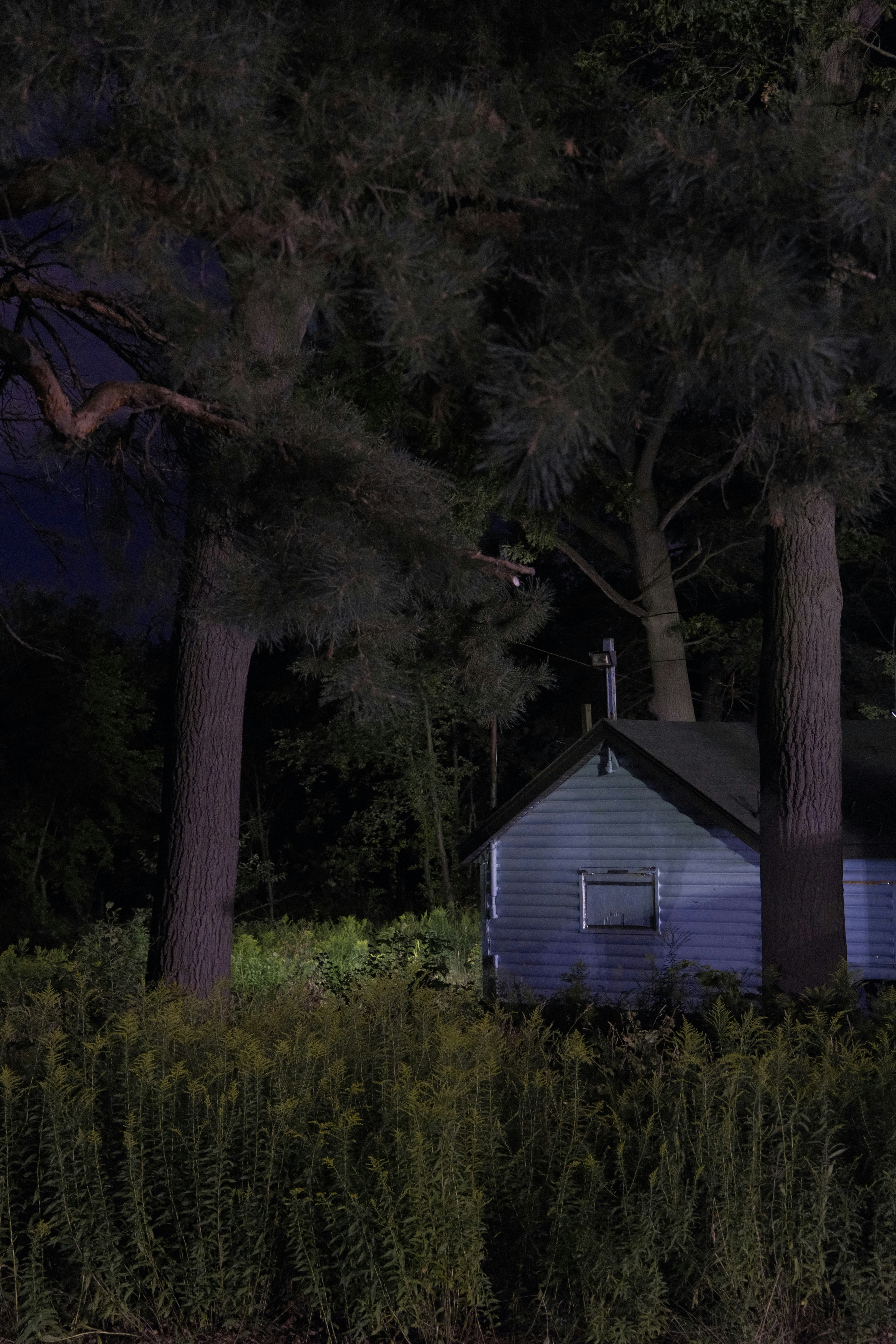 Moonlit Pines and a Quiet Blue Cabin