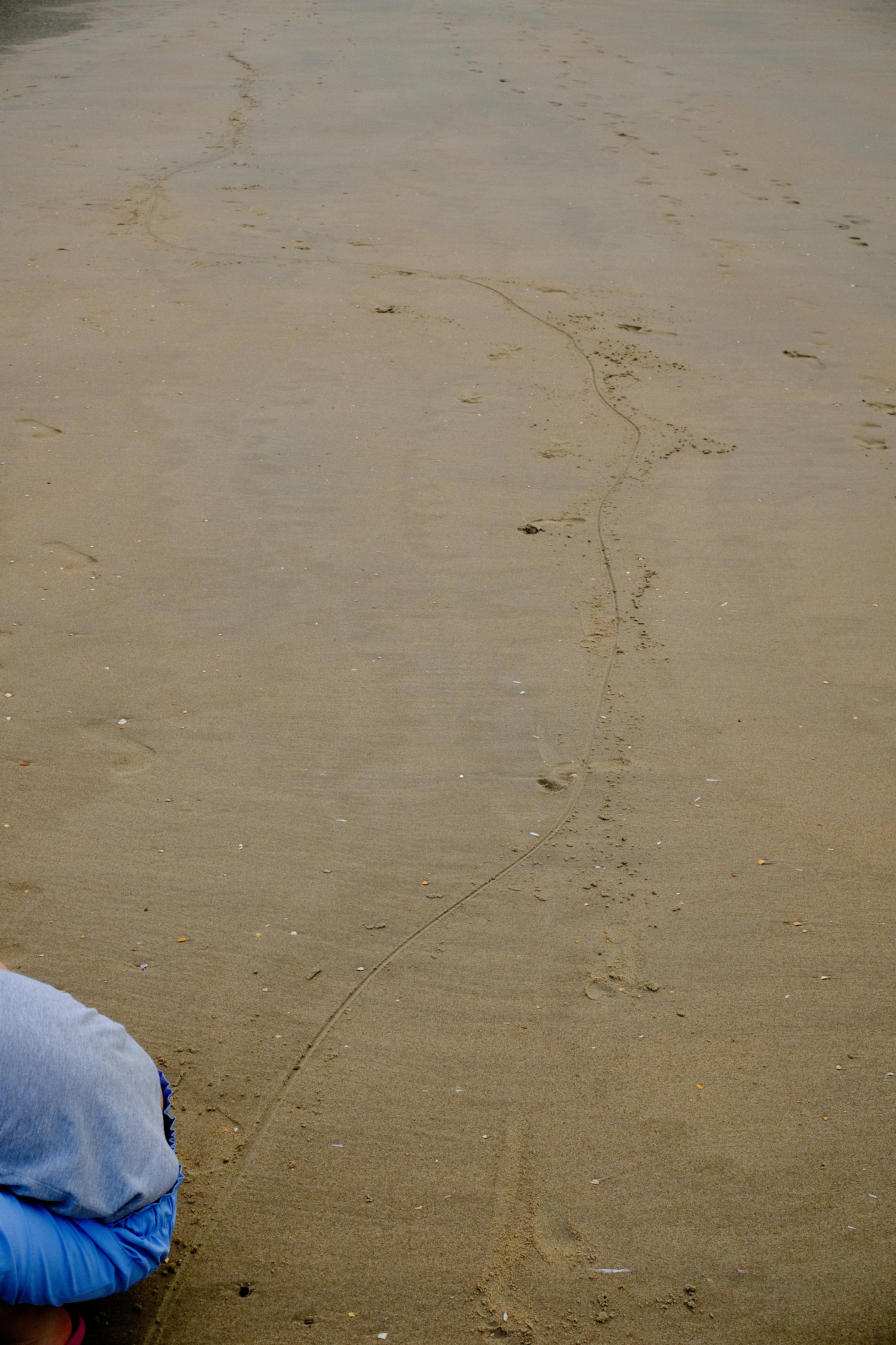 Wind-Sculpted Traces on Quiet Shore