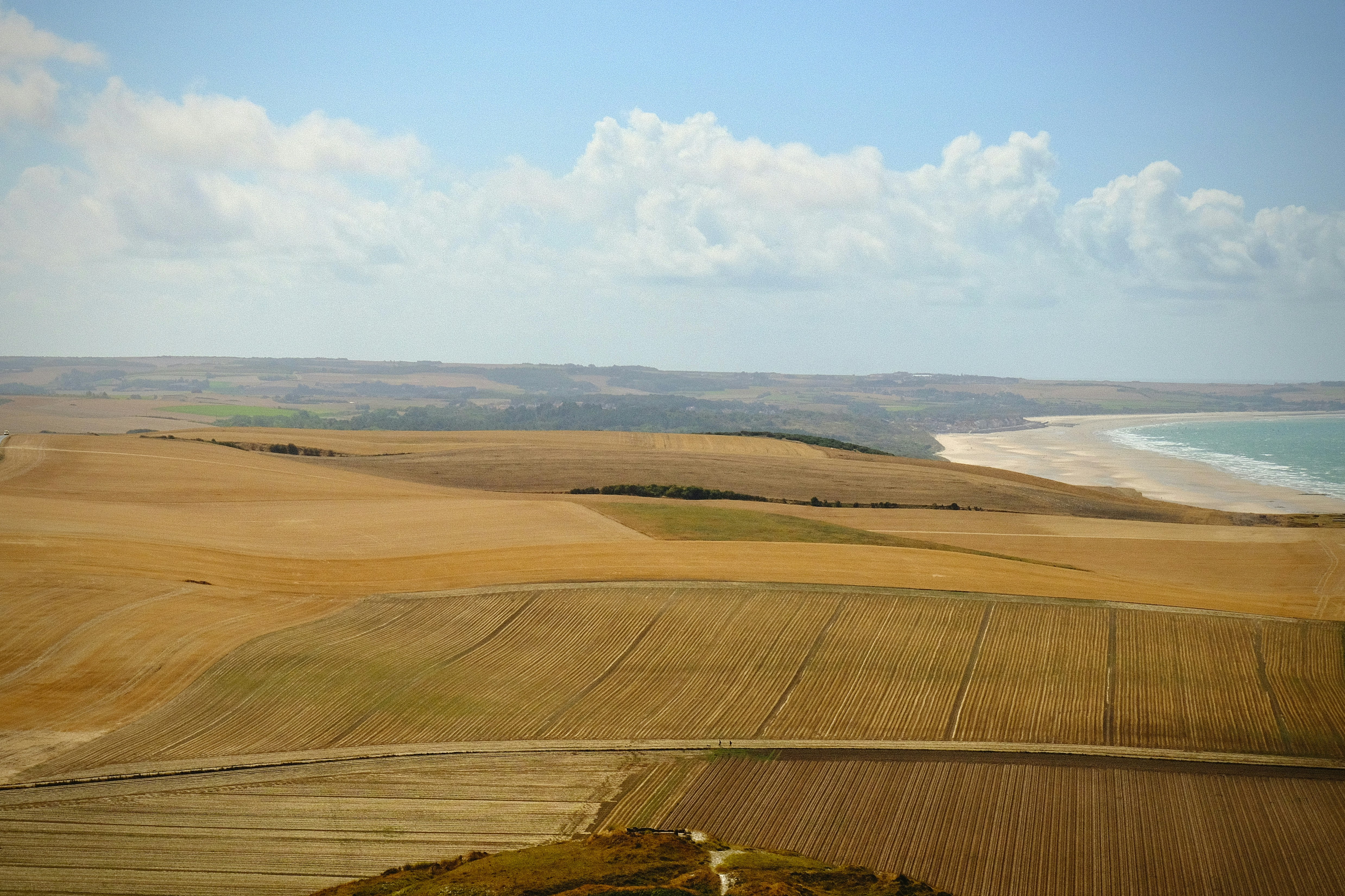 Rolling golden fields extend toward a calm blue sea under a bright sky, capturing a tranquil rural landscape with distant horizons.