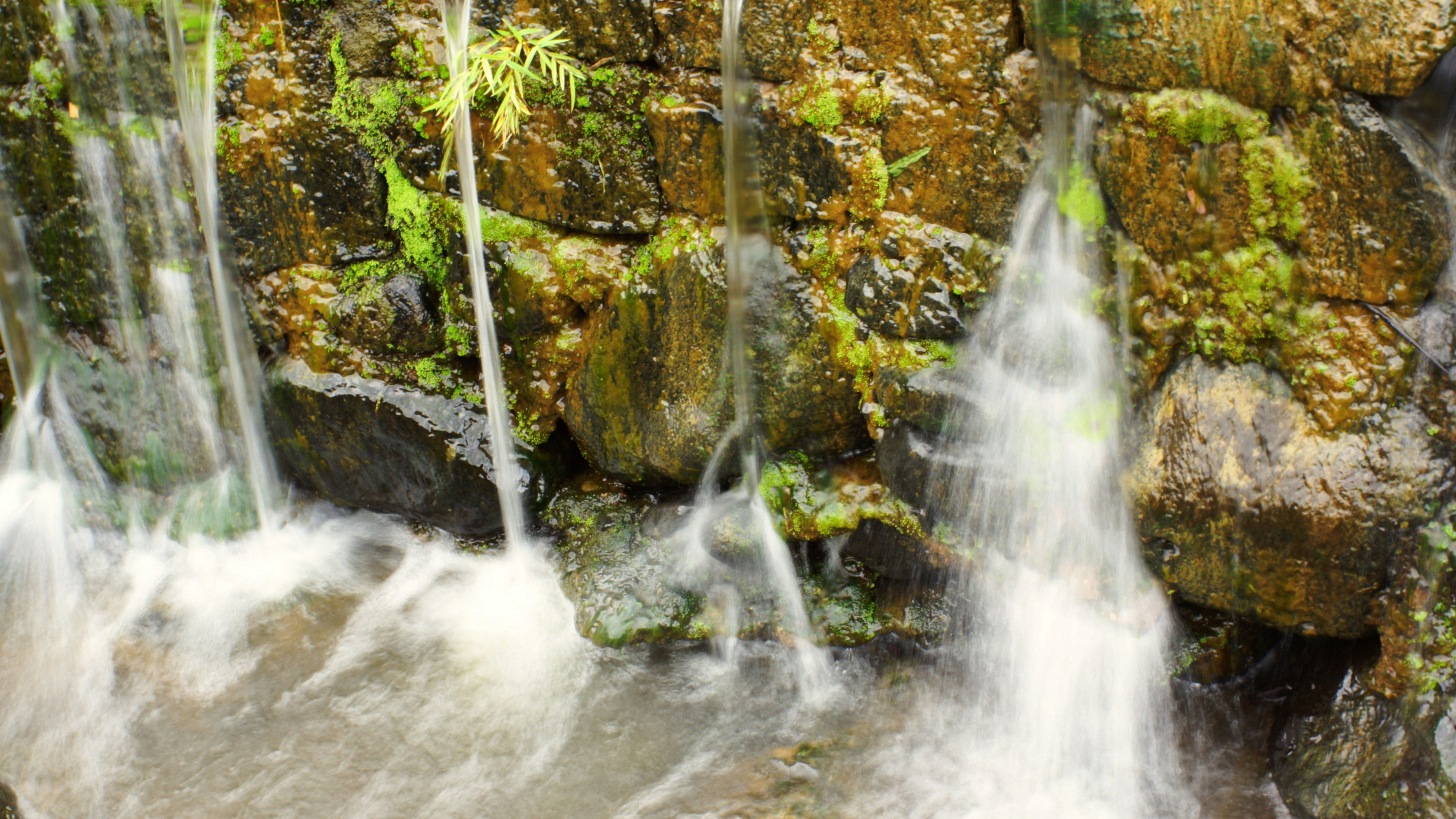  Mossy Rock Cascade: Narrow Streams Over a Moss-Cloded Wall