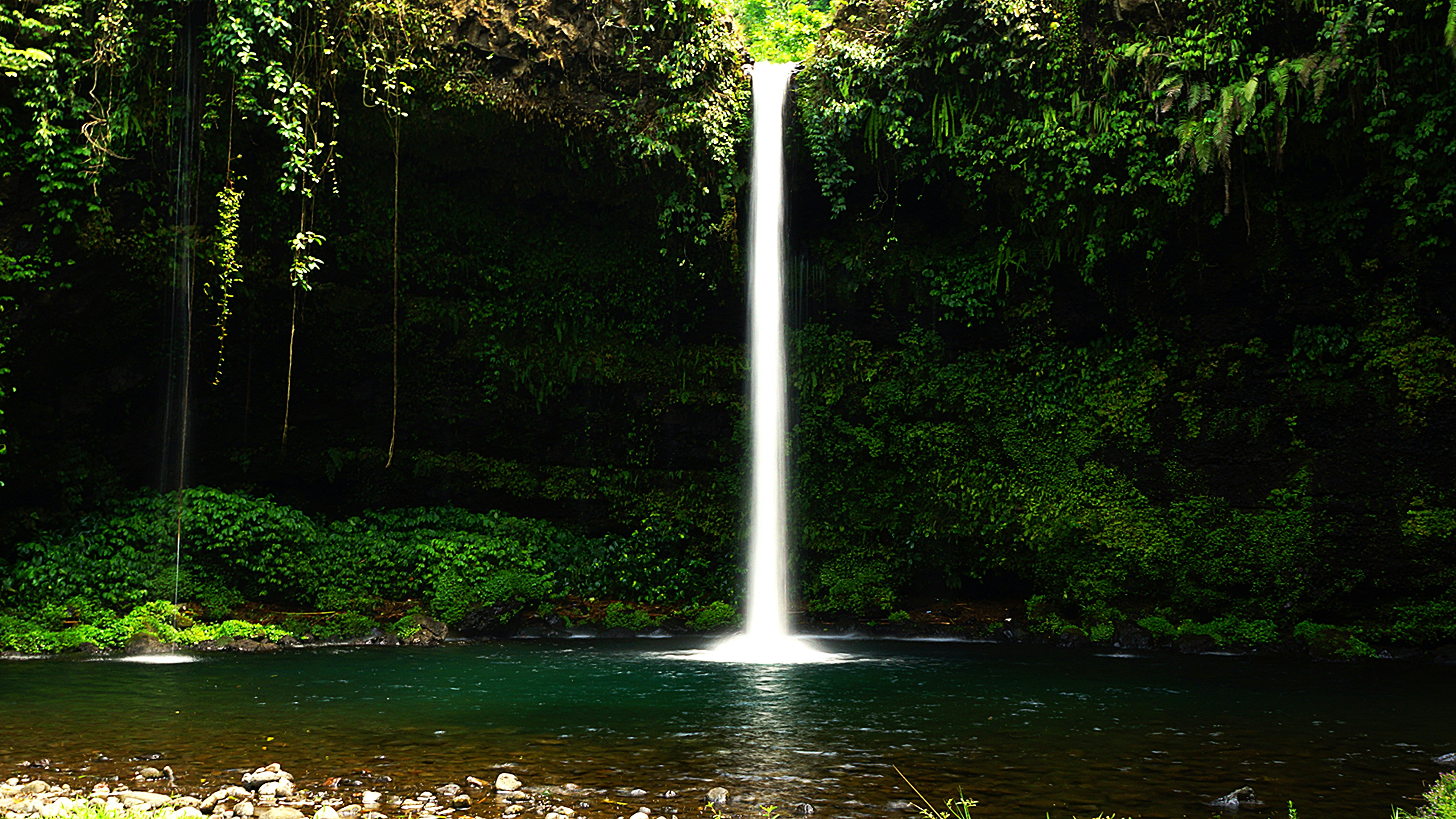 Quiet Cascade: Forest Veil Over a Hidden Pool