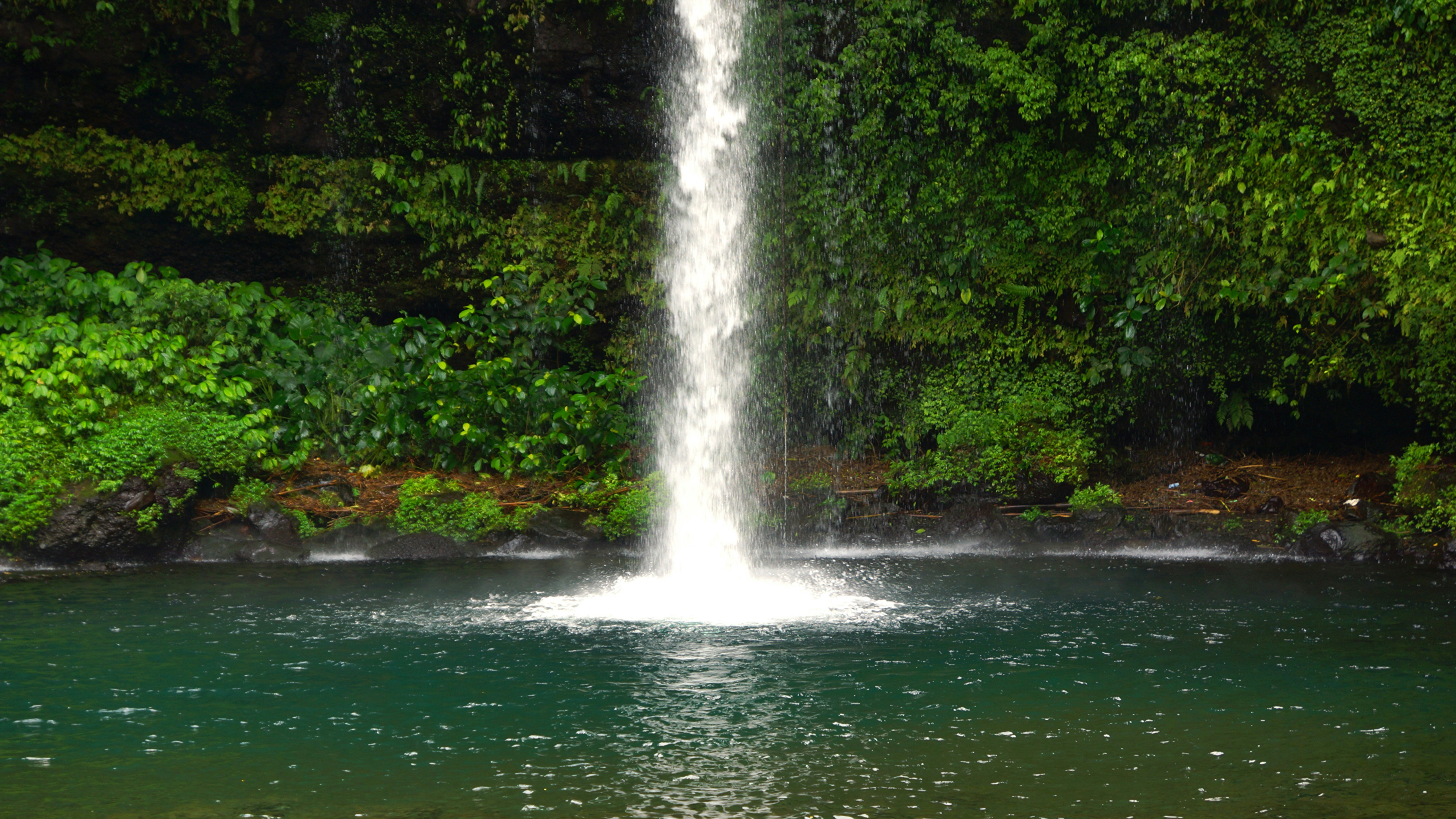 Emerald Cascade: A Jet of green-tinted Water Drops into a tranquil pool