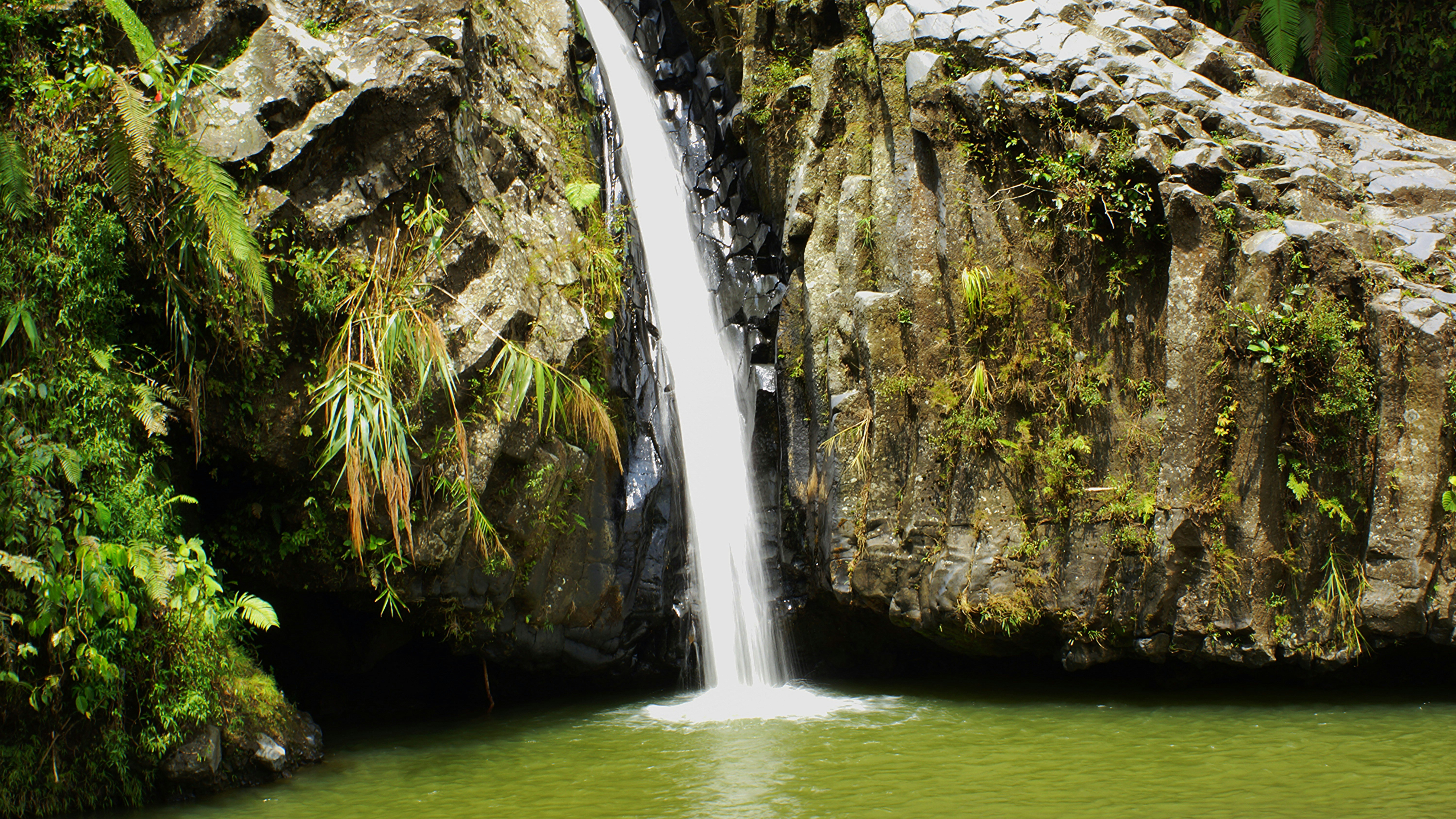 Cascade Between Mossy Cliffs: A Quiet Gorge Wake