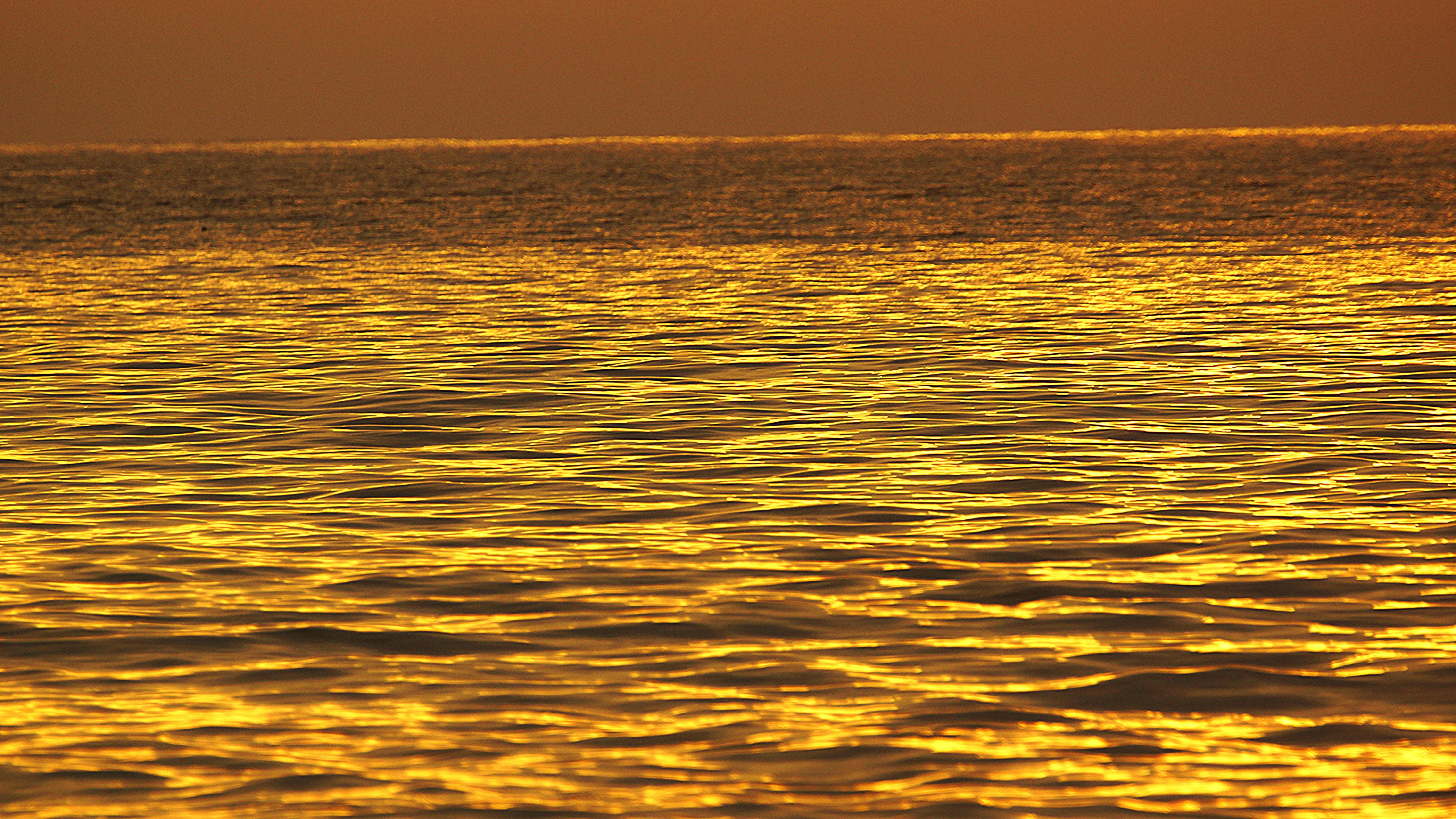 Golden Horizon: Quiet Seas at Dusk