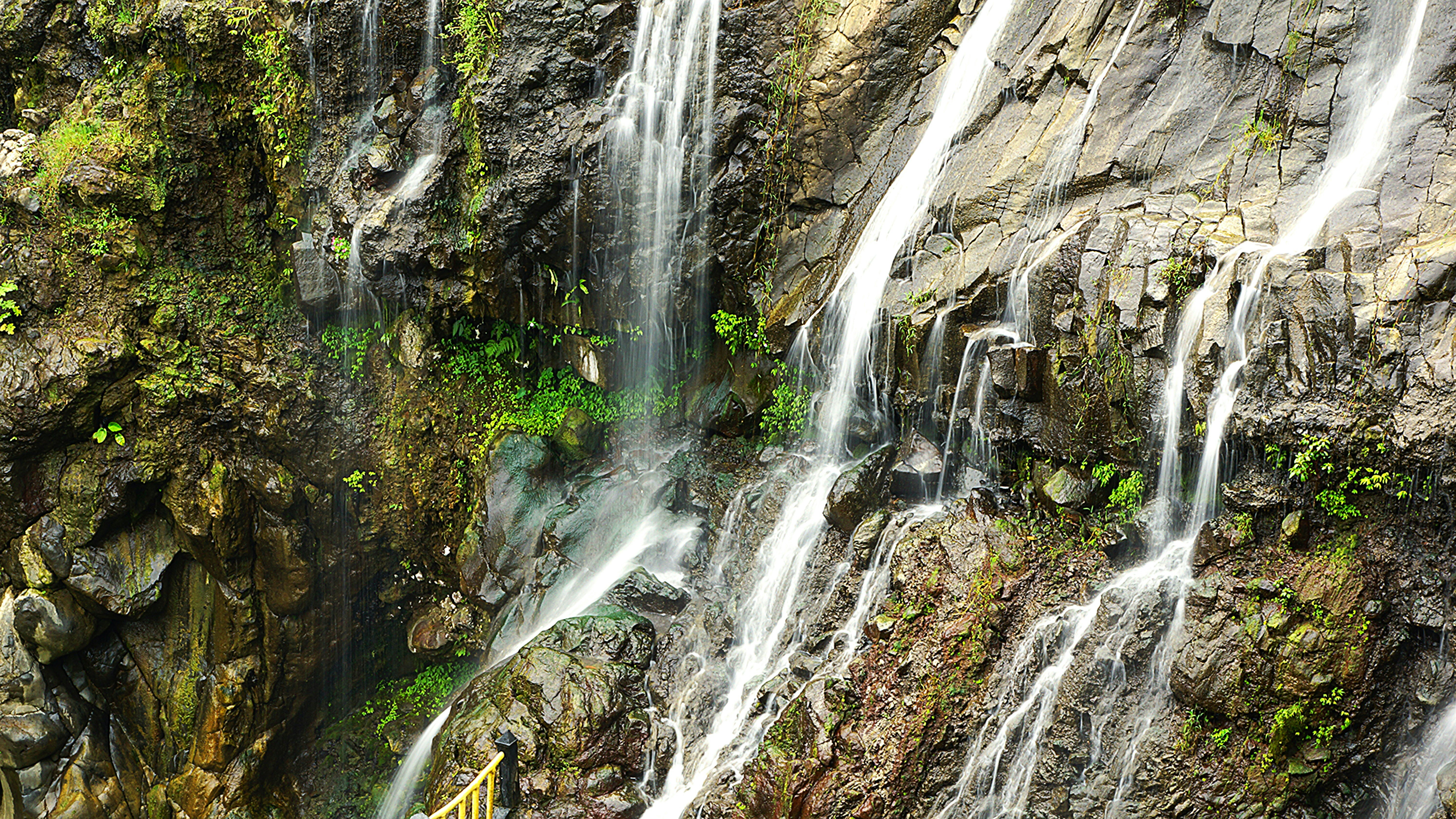 Striated Falls: A Quiet Cascade Over Mossy Rock