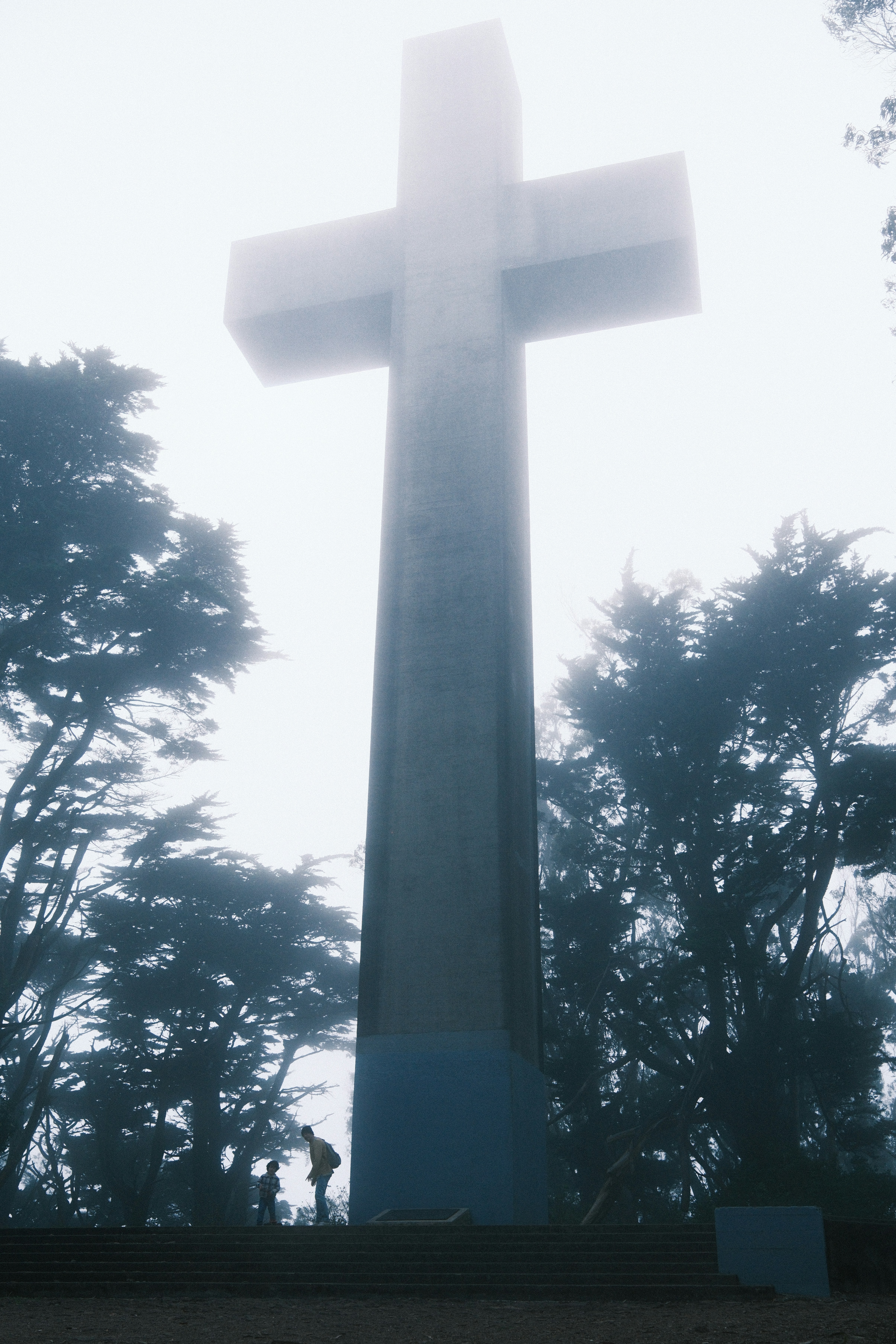 Rising Silence: A Fog-Softened Cross Amid Cedar Giants