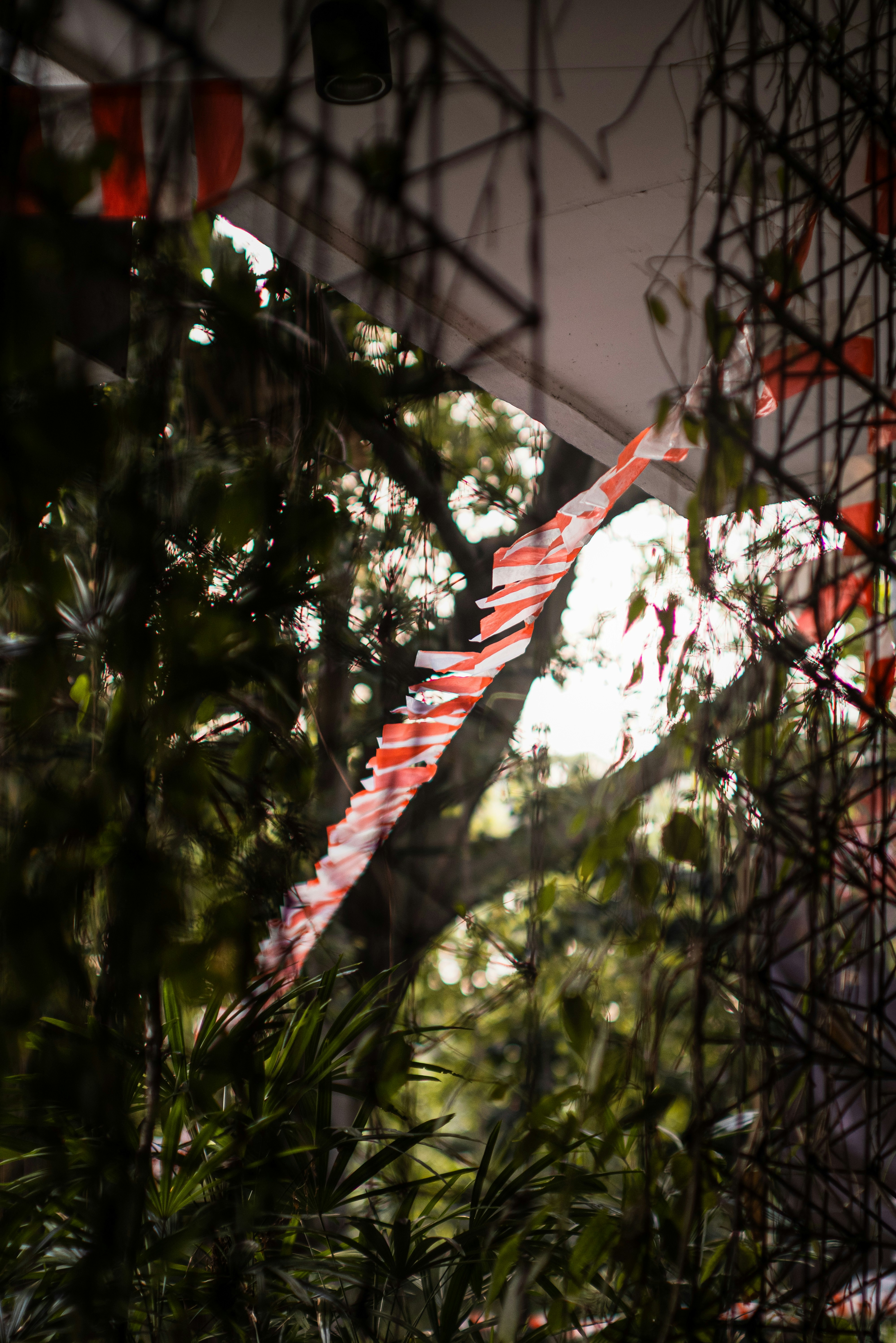 Dense foreground branches frame a blurred red-and-white streamer diagonally crossing a sunlit garden; the scene captures a partial glimpse of an architectural edge and greenery beyond.