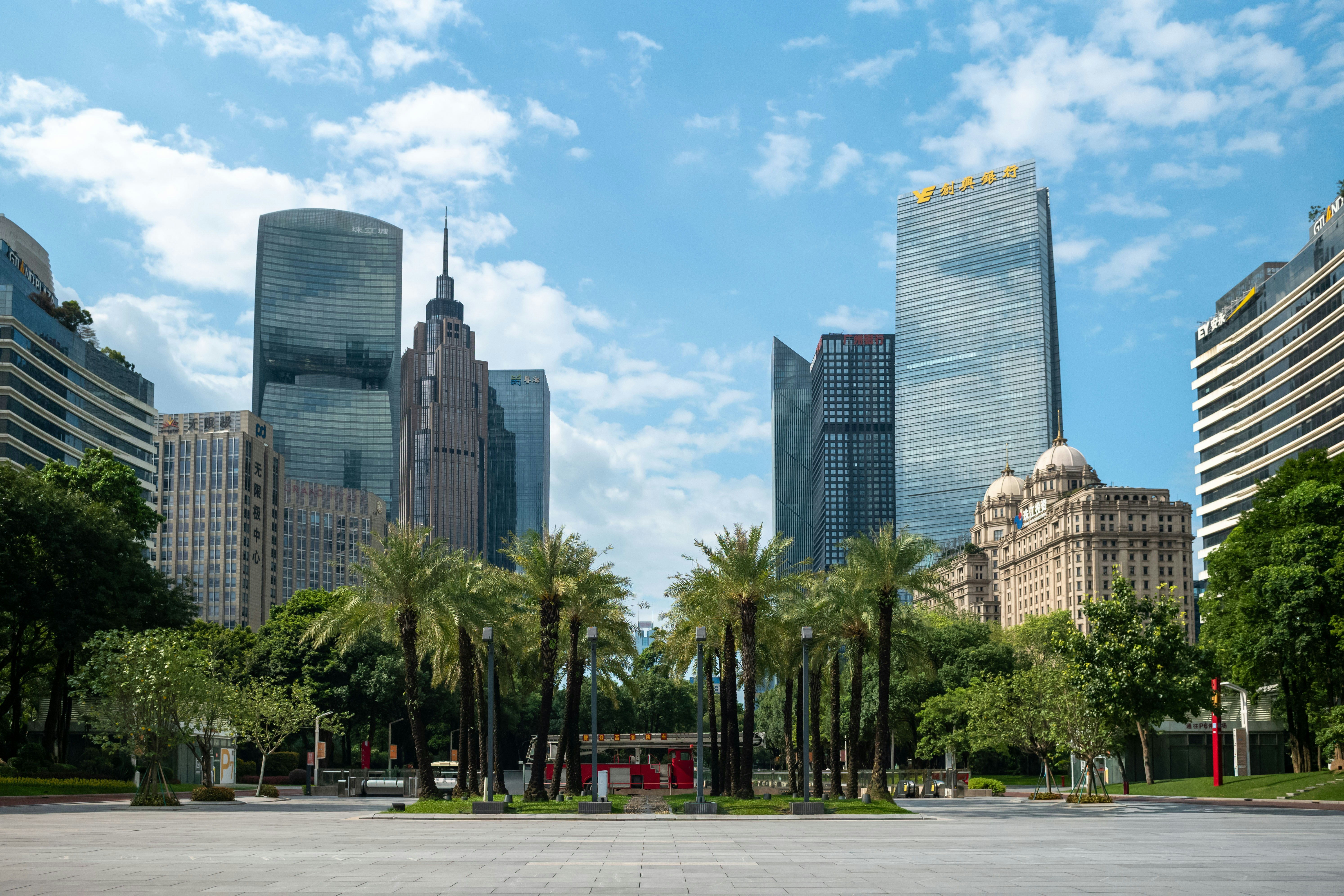 Urban Oasis: Palm-lined Plaza Surrounded by Skyscrapers
