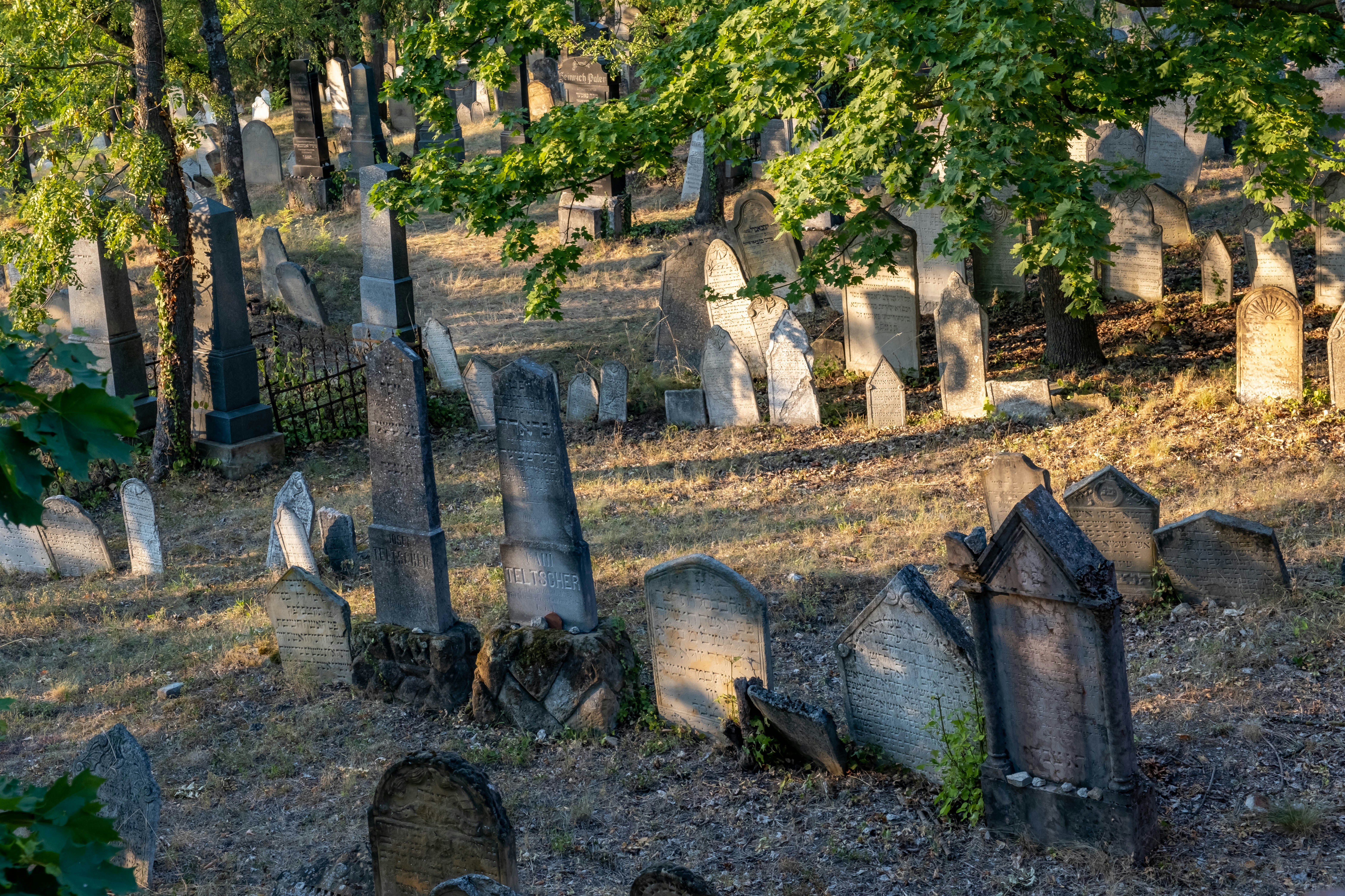 Hushed Stones in Dappled Light