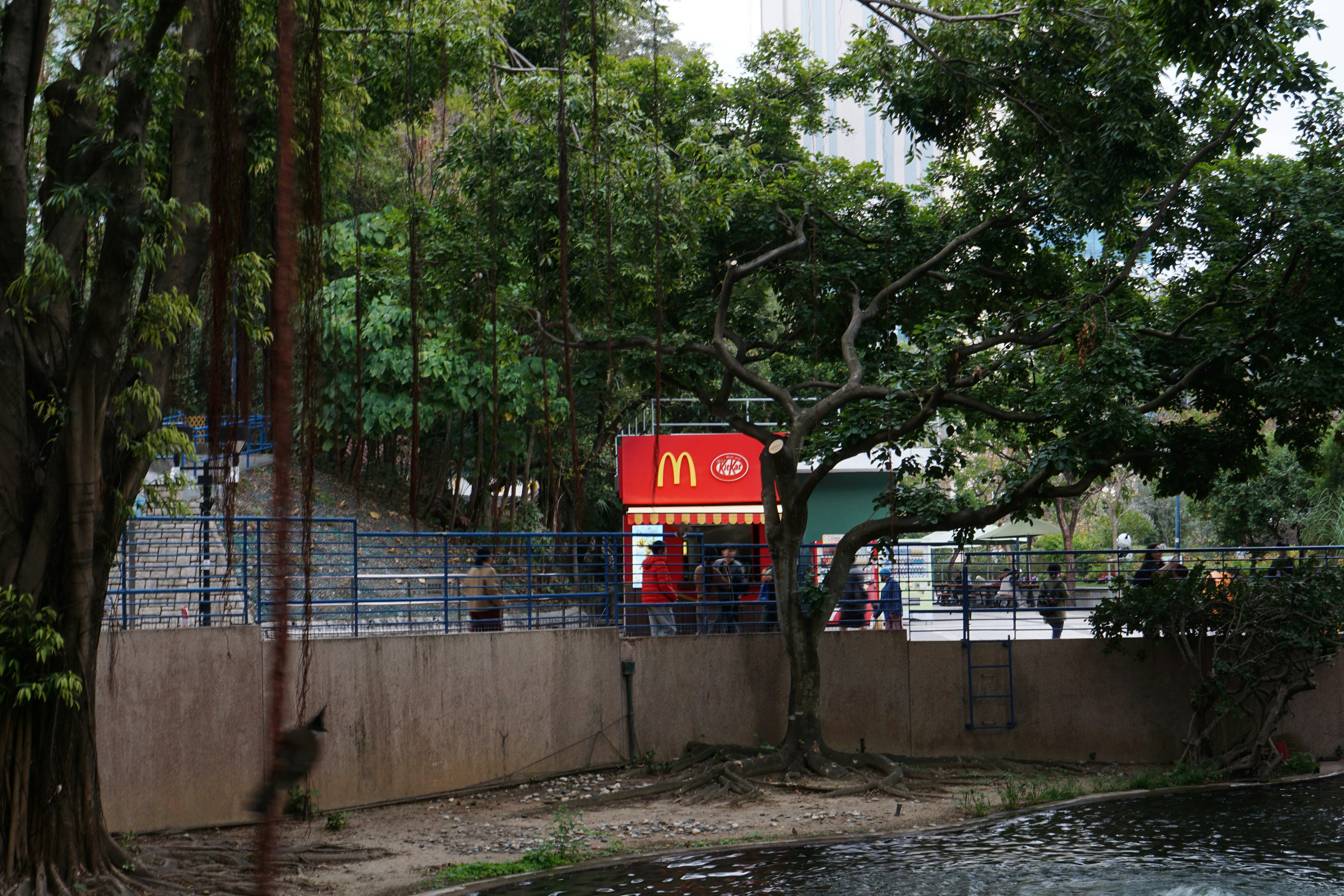 McDonald's red kiosk beside a riverside park