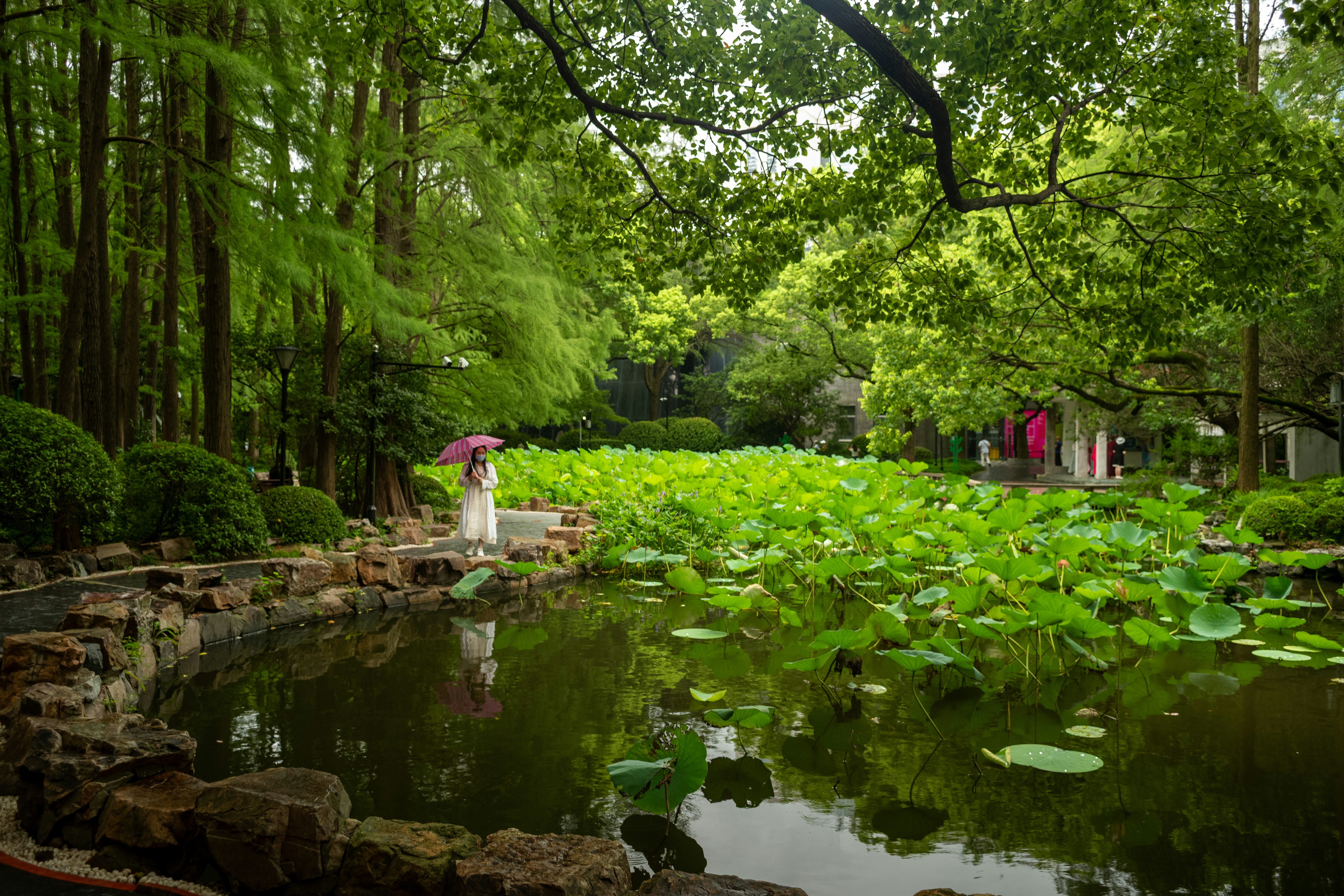 A tranquil garden pond framed by lush greenery and a person with a pink umbrella near the water's edge.