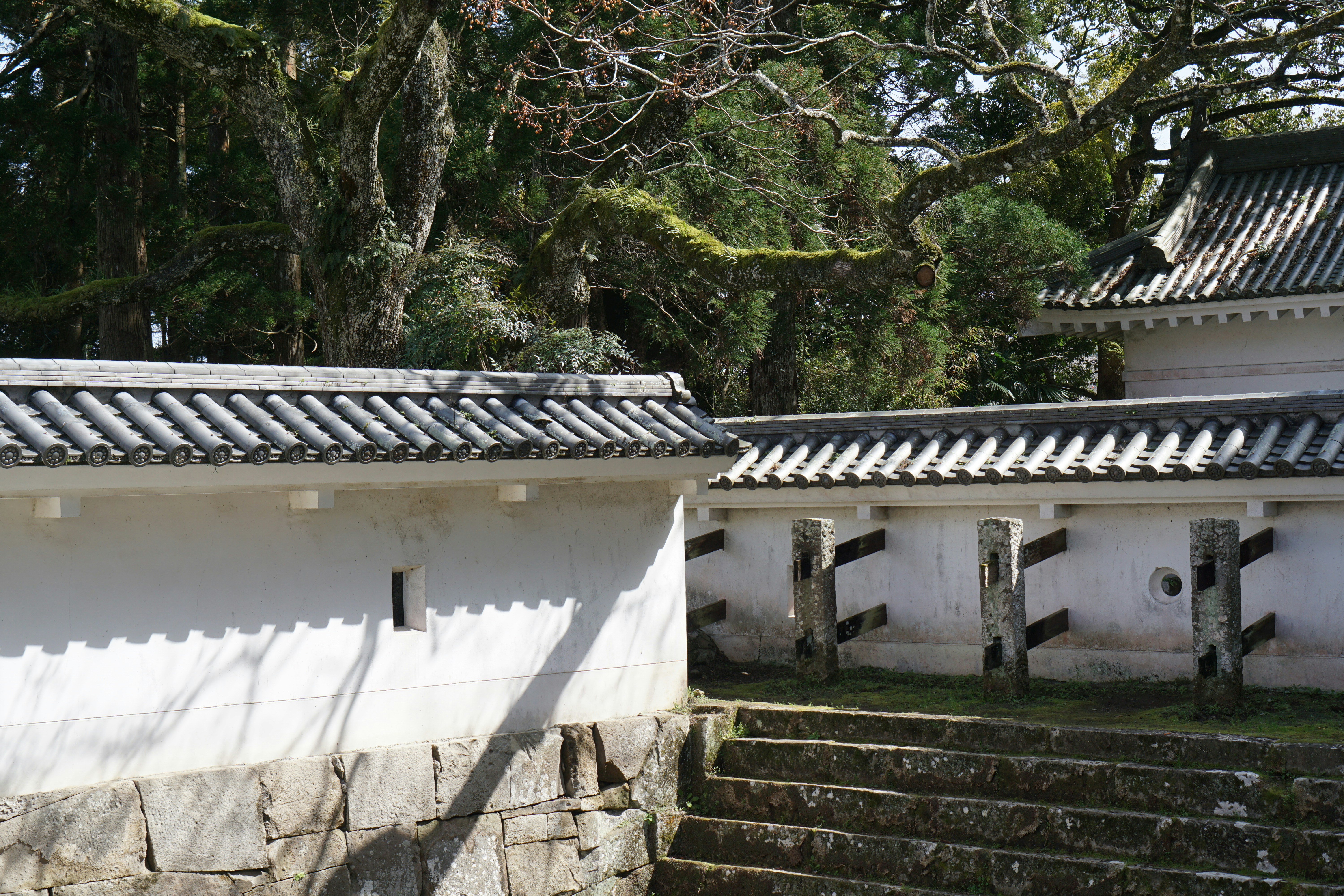 Temple Wall and Moss-Covered Roofs: Quiet Geometry of a Japanese Courtyard