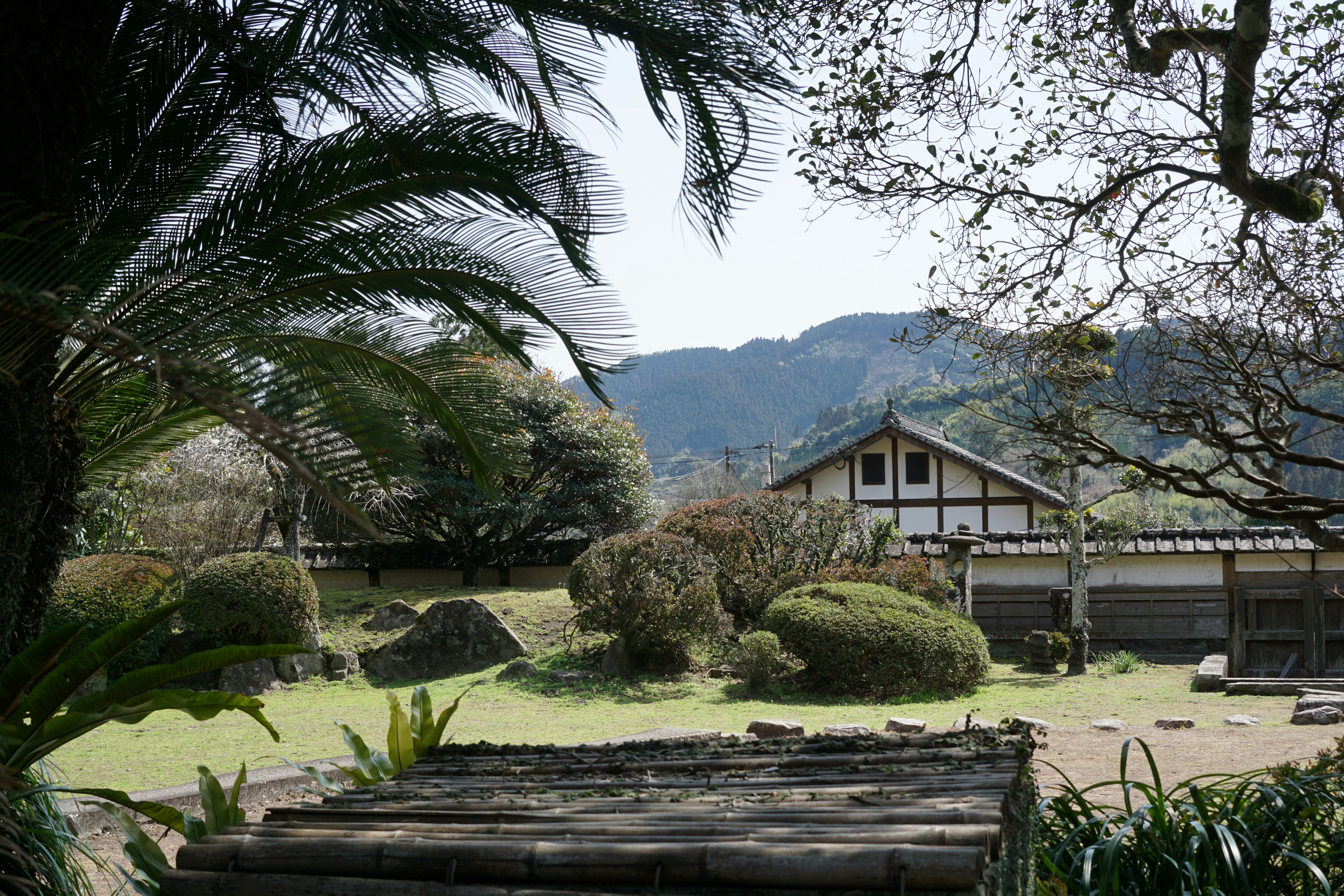 Tranquil Japense-Inspired Garden with Traditional House Backdrop