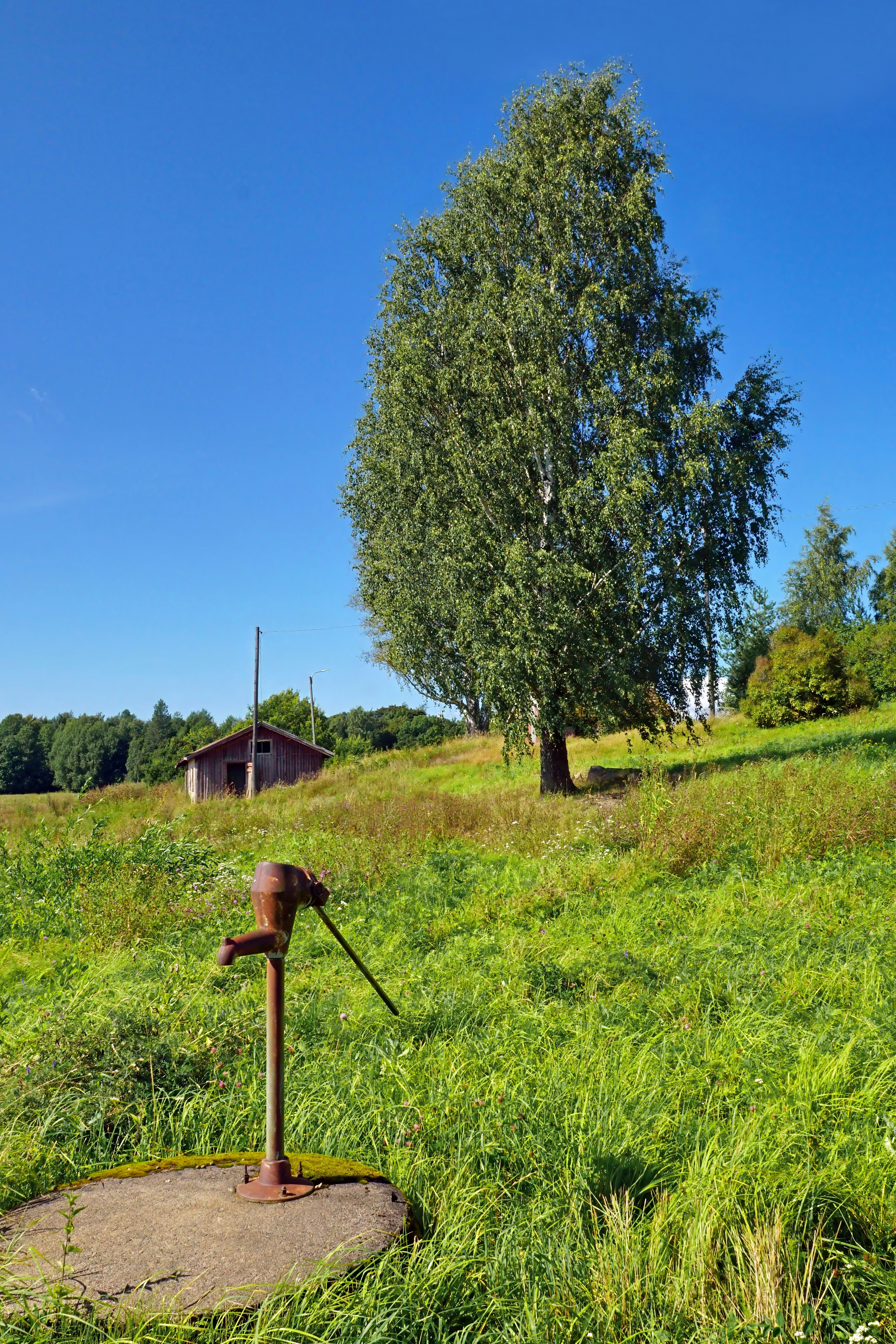 A rustic, hand-operated cast-iron water pump installed on a concrete well cover in a grassy field, with a tall green birch tree and a small wooden shed in the background under a clear blue sky. This picture was taken in Helsinki, Finland, in August 2026.