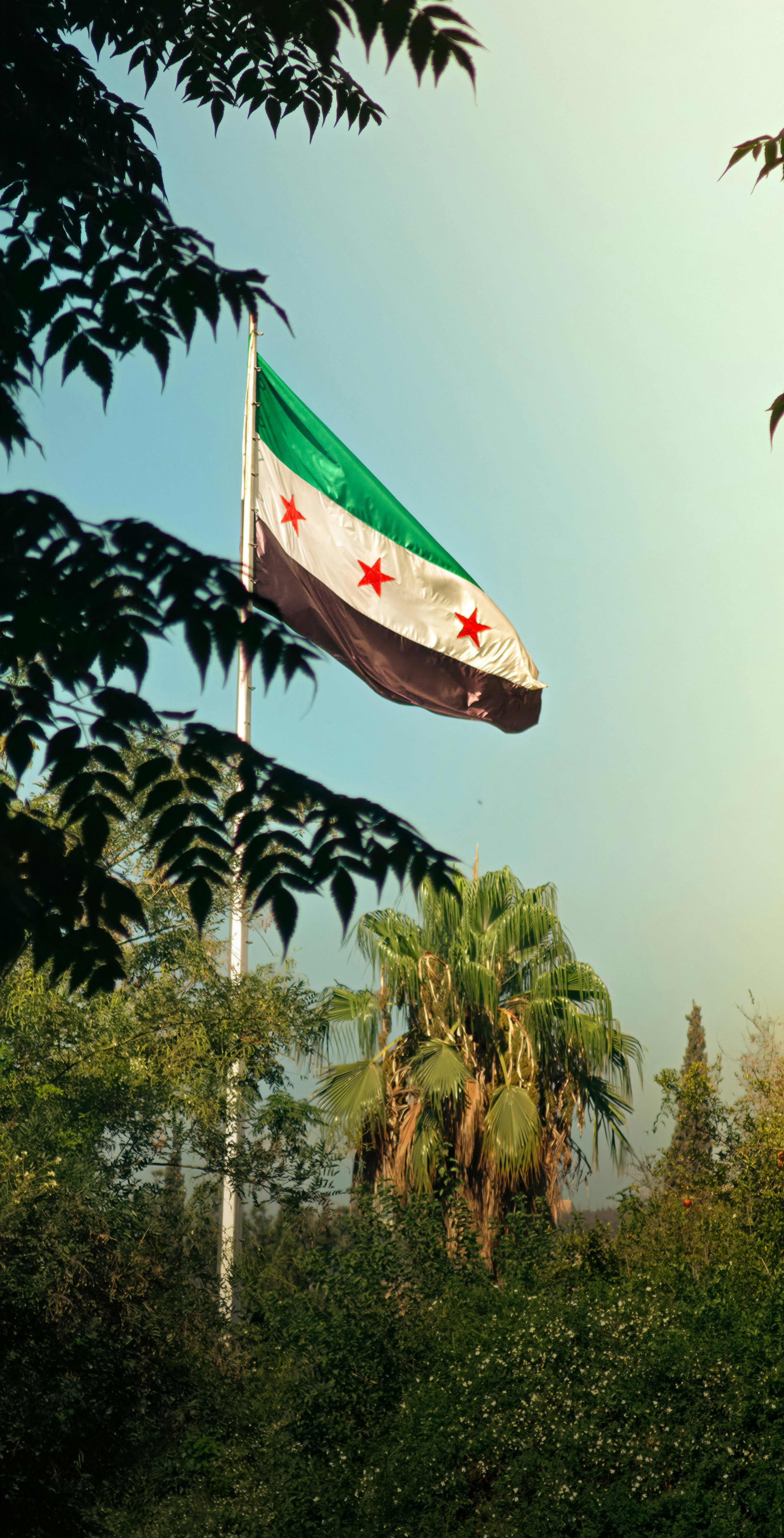 Flag on a Leaning Pole: A Green-White-Red Emblem Against a Sunny Sky
