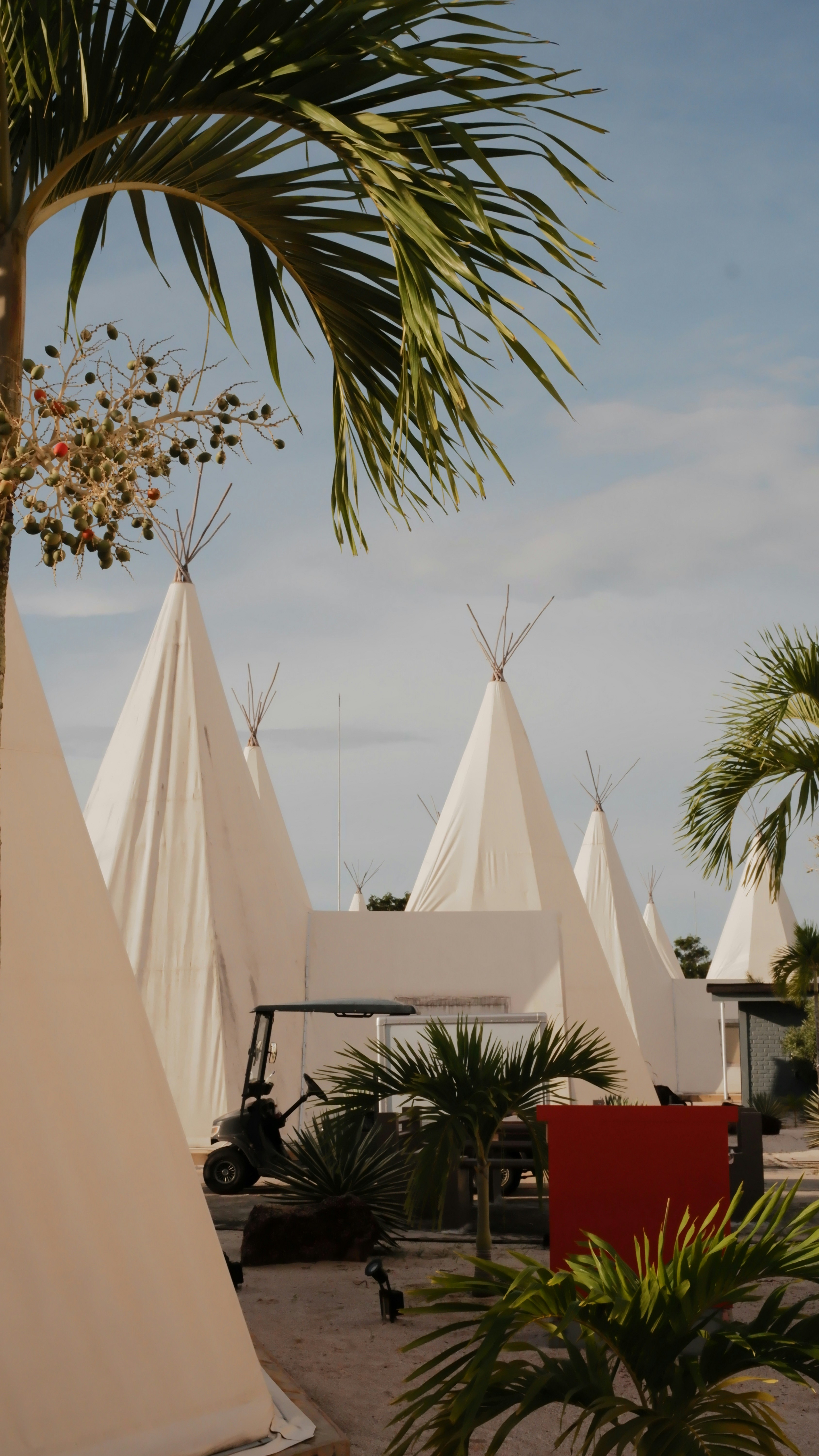 White canvas tents rise among palms under a clear sky, with a foreground of tropical plants and a small red structure, suggesting a resort or camp setting.