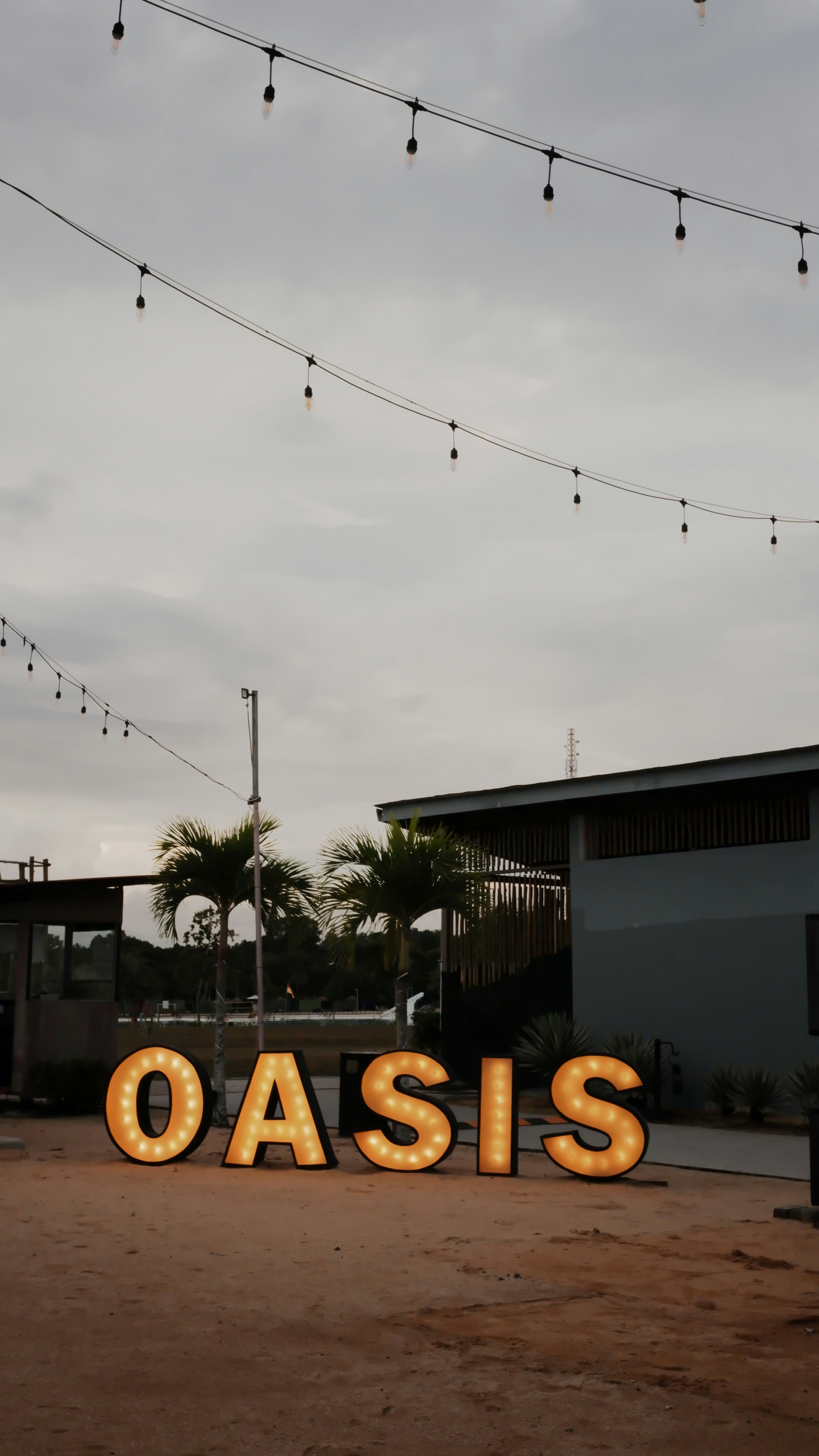Lit Oasis Sign in an Open Ground Under String Lights