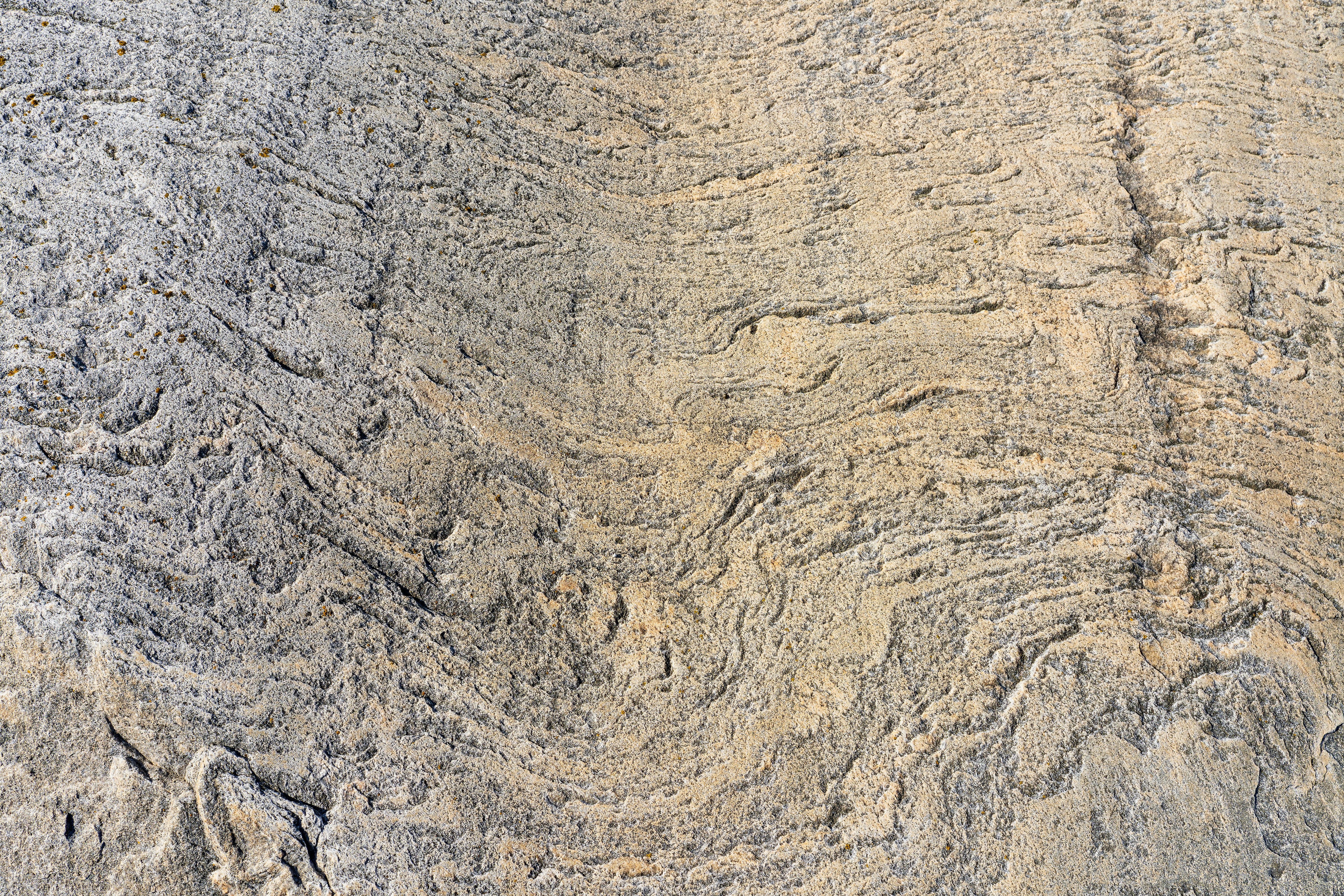 Whorls of Stone: Ancient Strata in Silent Sandstone