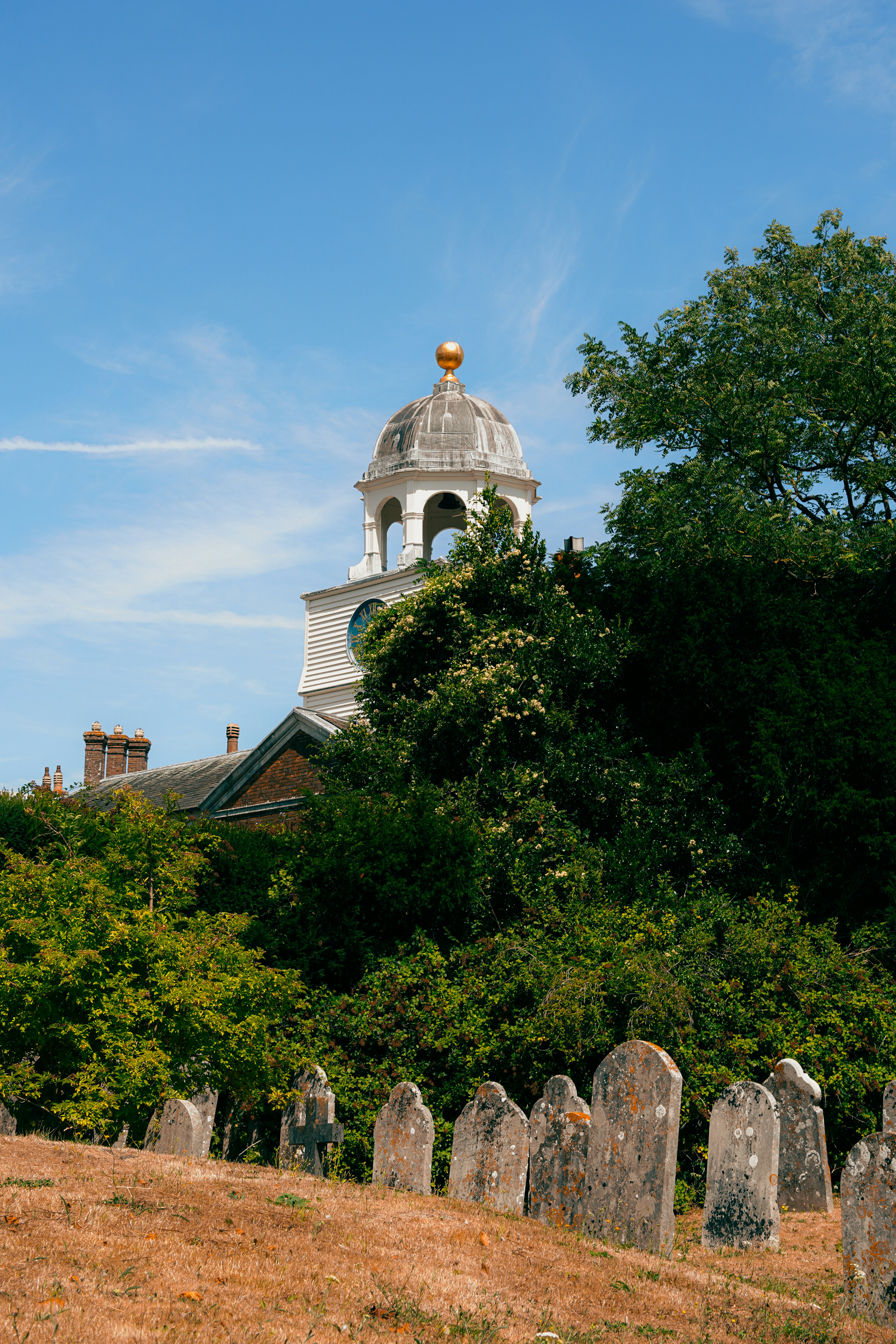 Dome and Clocktower Amid Summer Greenery