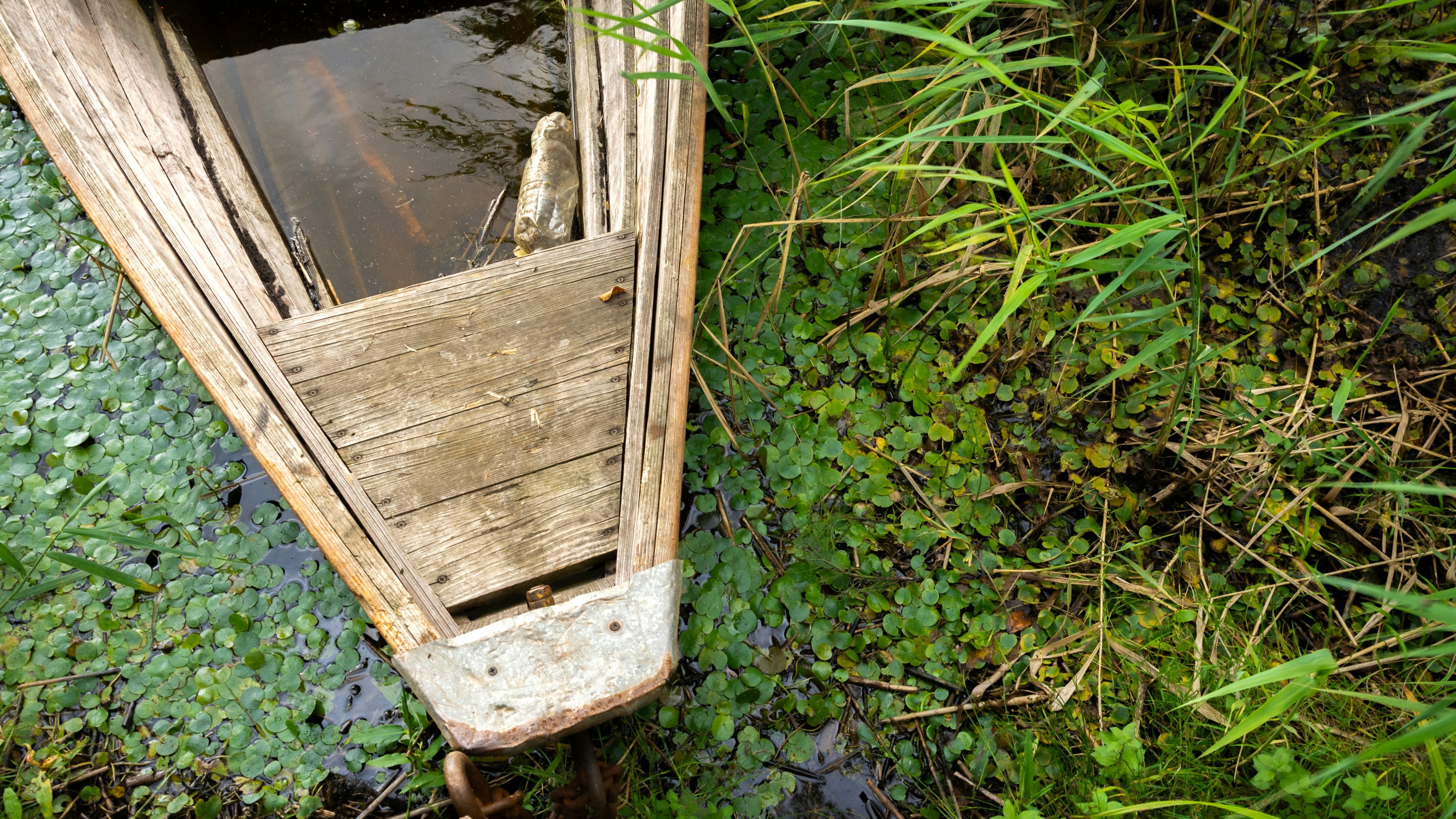 Decaying Boat Hull Resting in a Weed-Choked Puddle