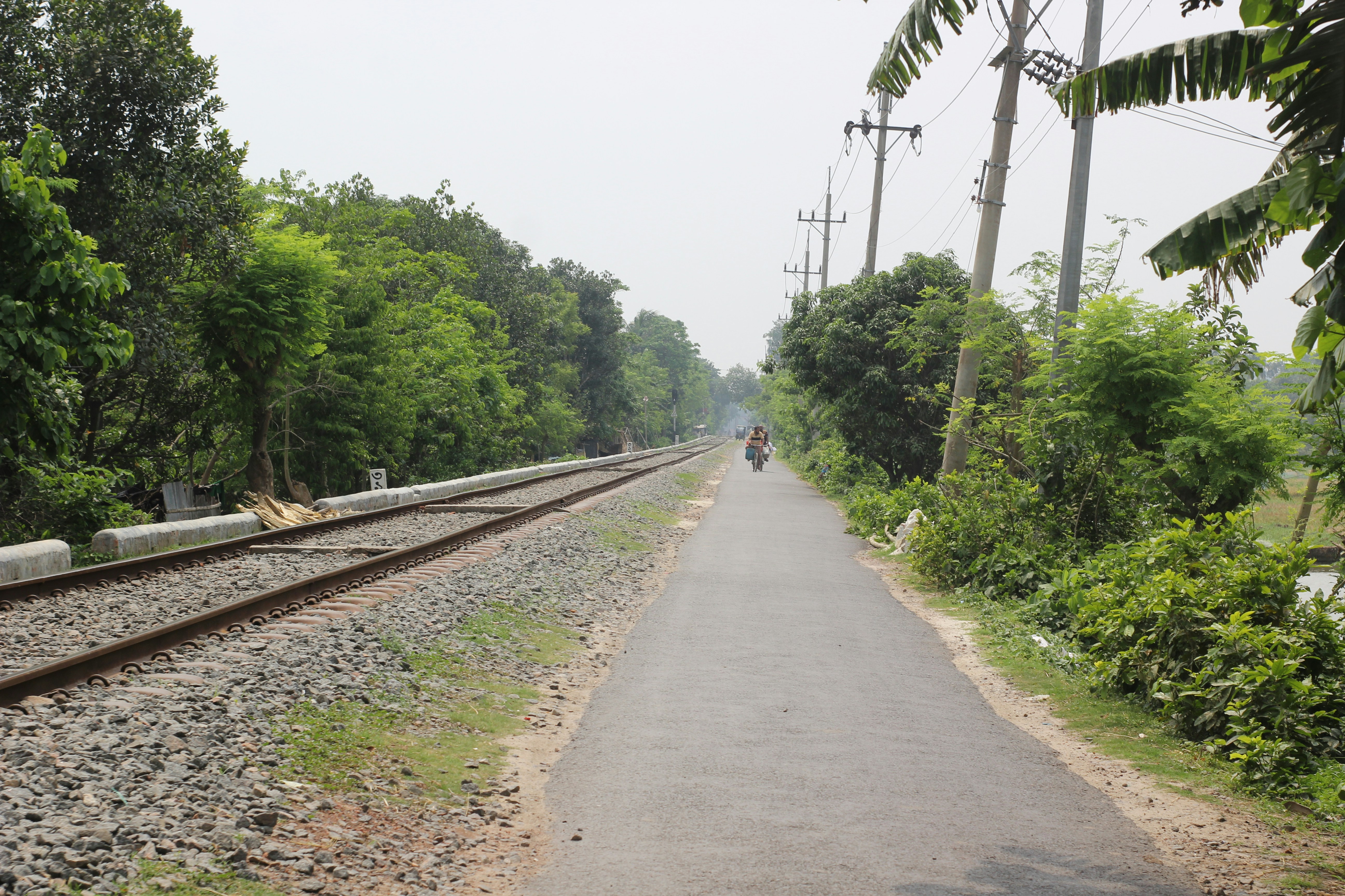 Rigid Lane: A Quiet Rail-Adjacent Path Stretching into Greenery