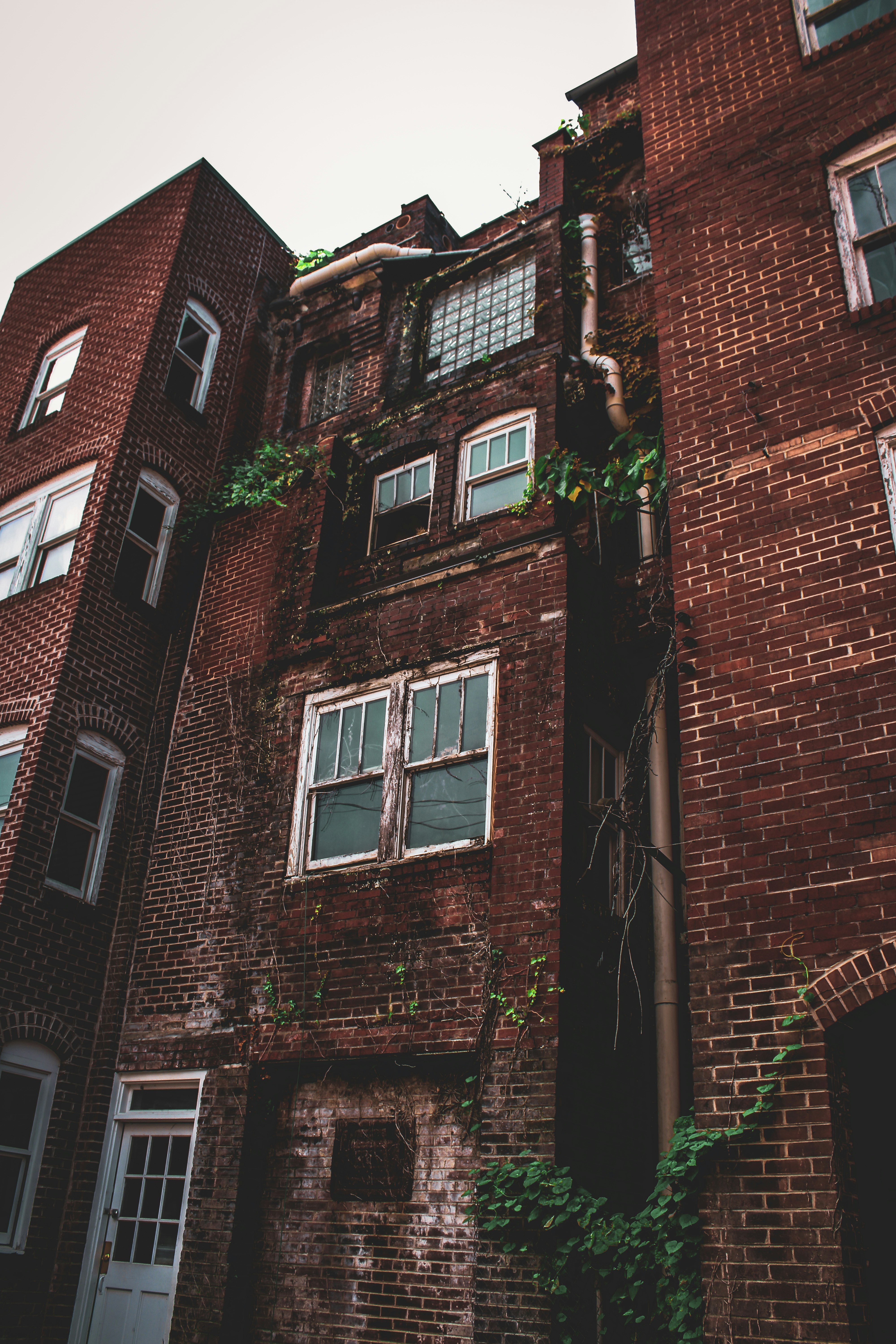 Weathered brick tenement with creeping ivy and broken attic windows