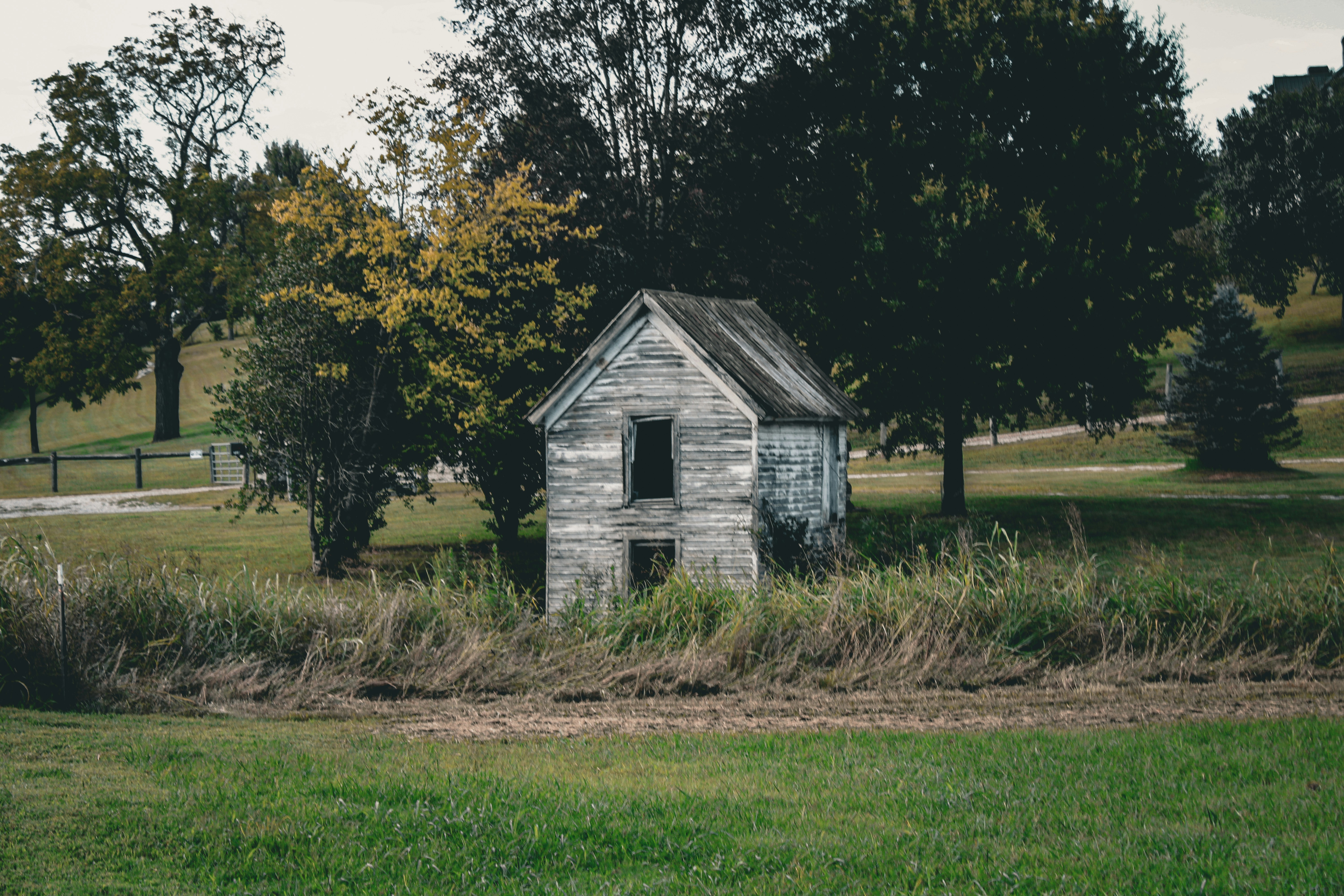 Weathered Cabin in an Open Field