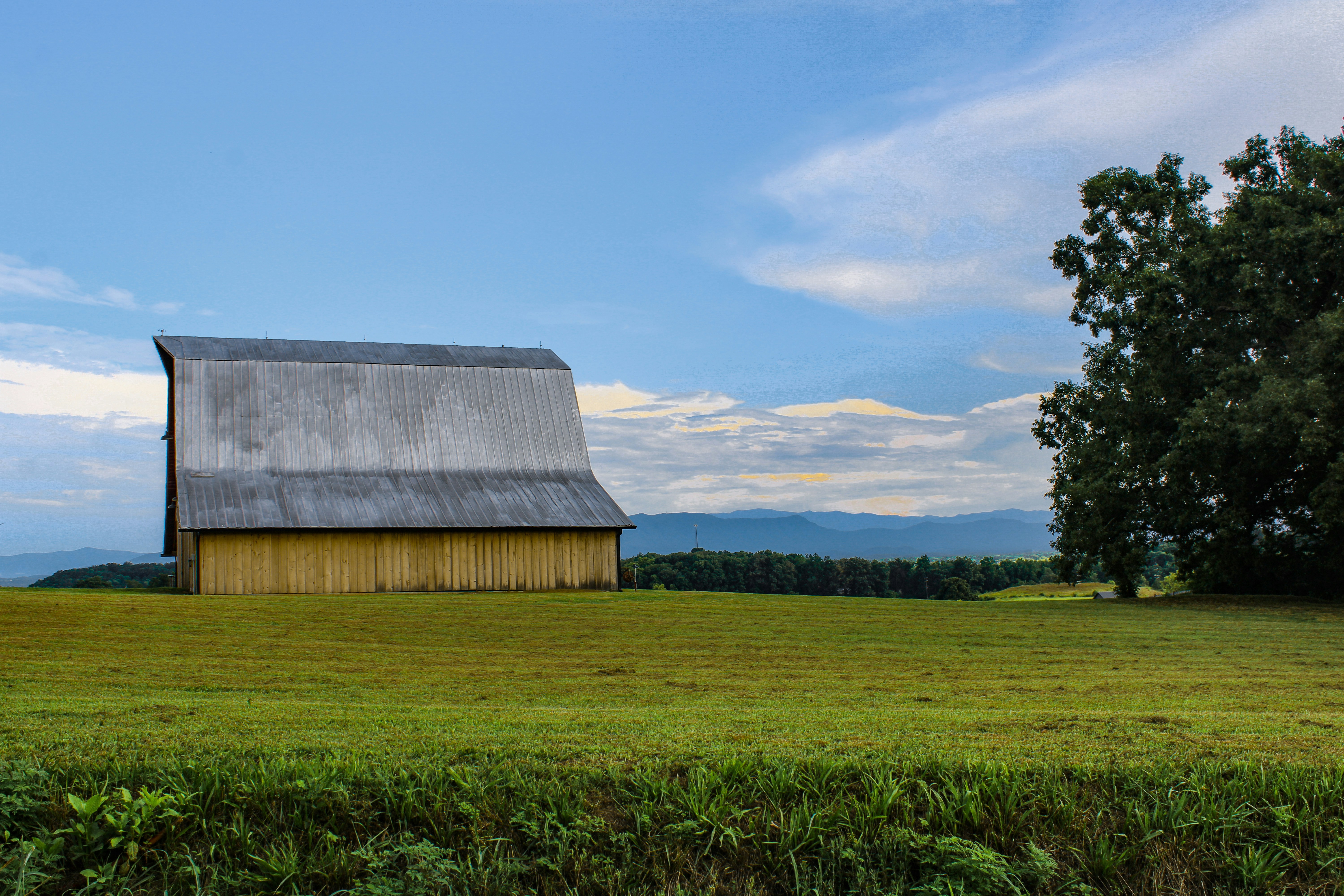 Weathered Barn Standing Watch Over a Quiet Field