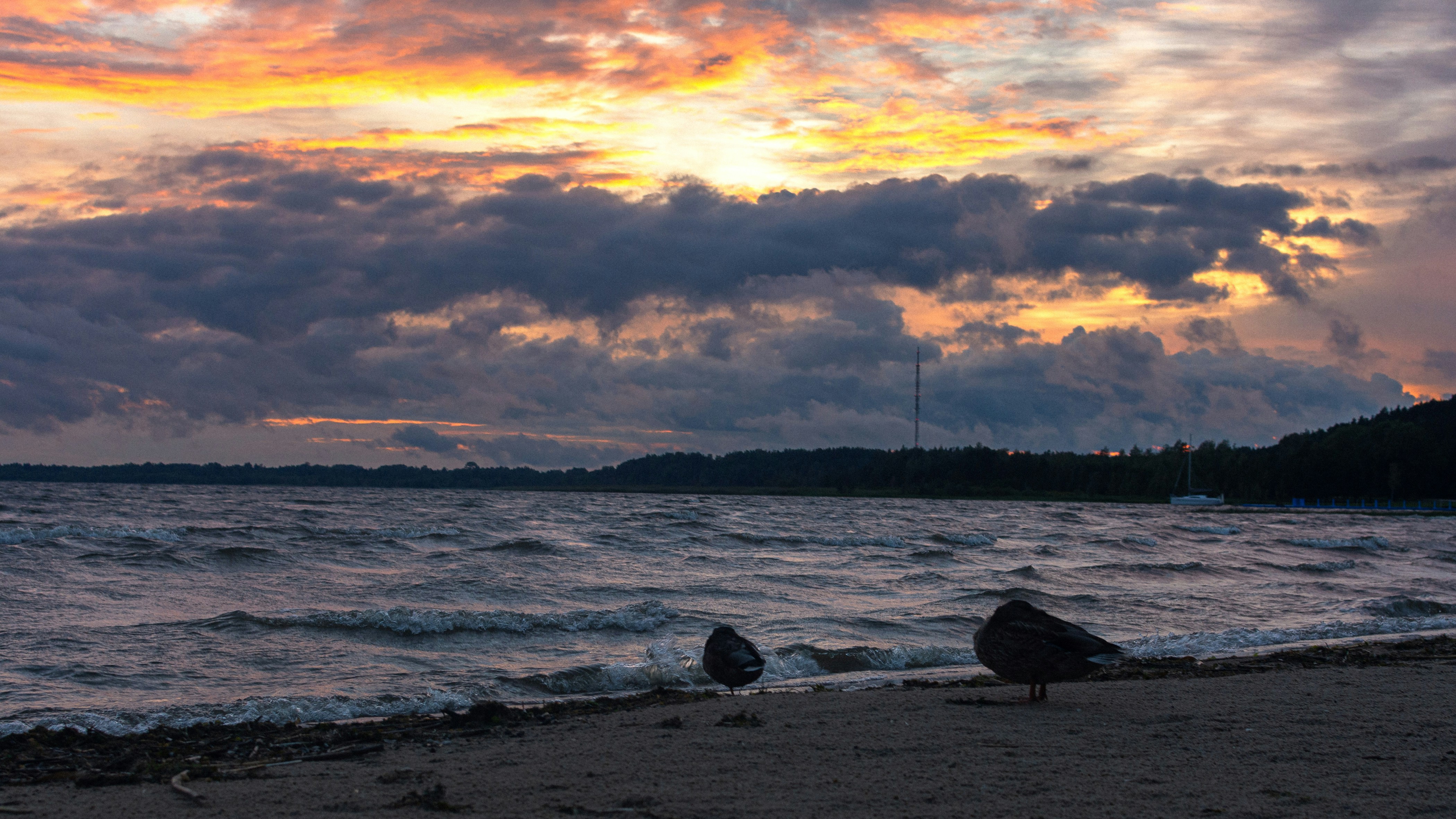 Sunset Silhouette over a Quiet Shore