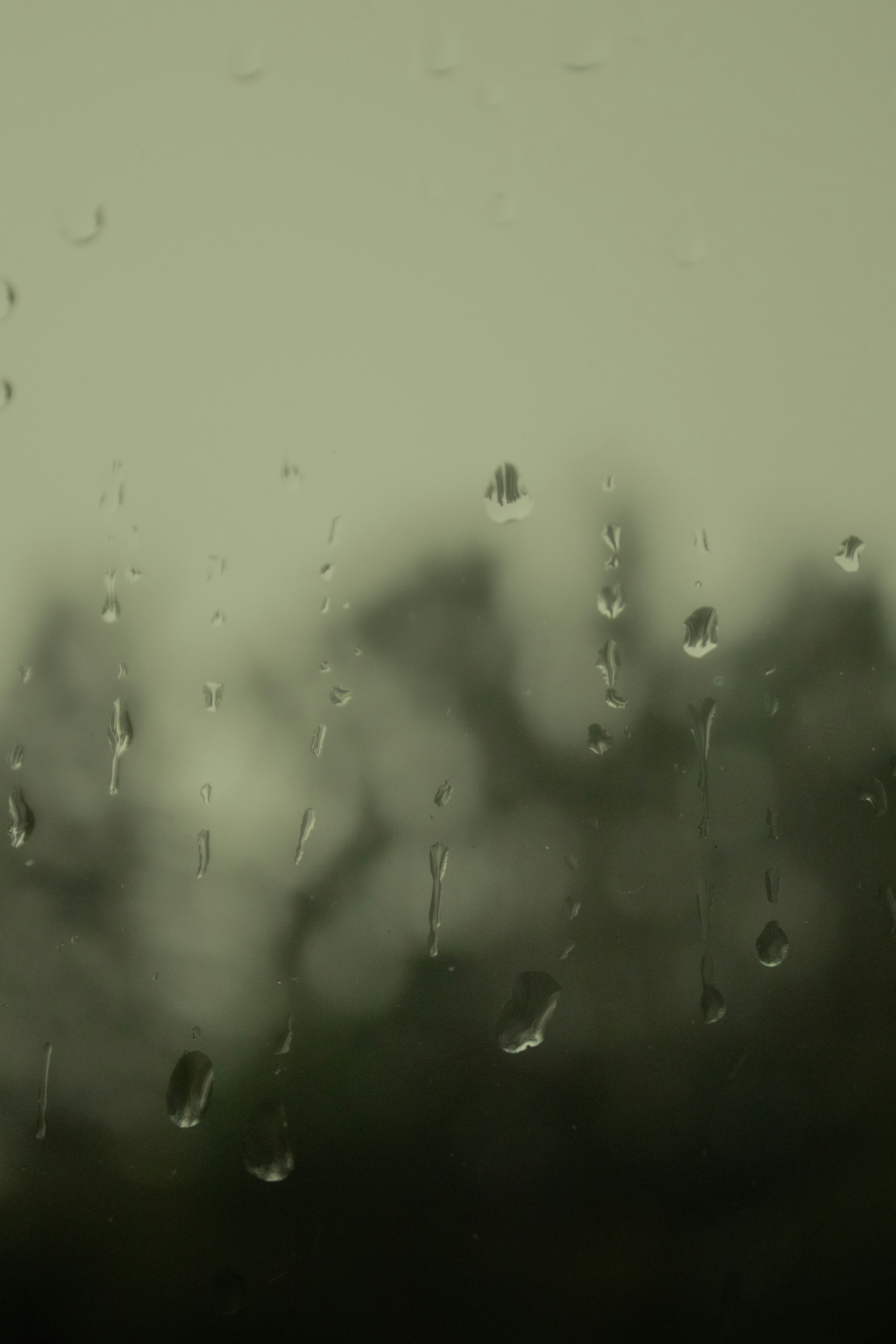 Rain-streaked Glass: Soft Bokeh of Distant Foliage
