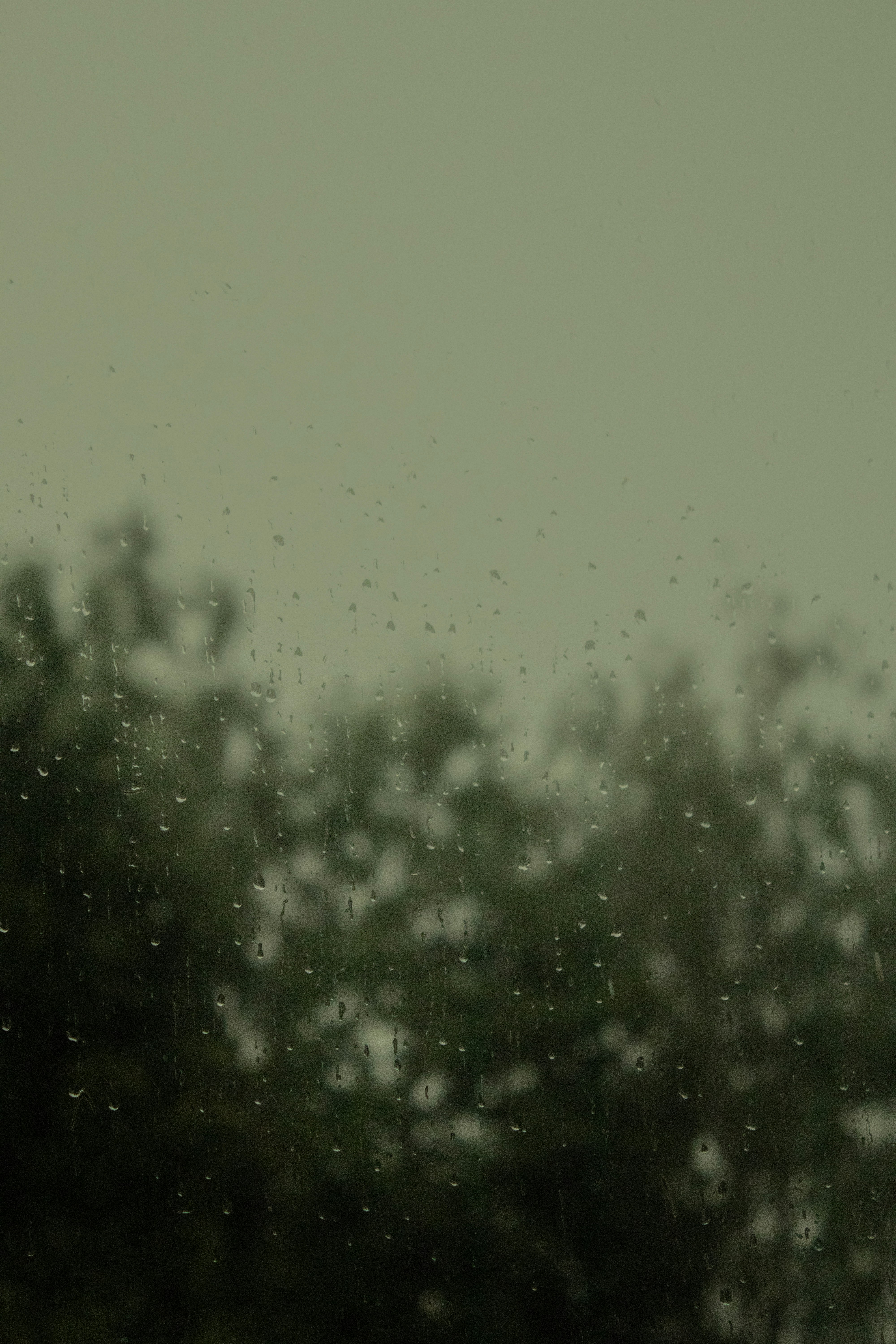 Rain on Glass: Fading Horizon Through a Park Window