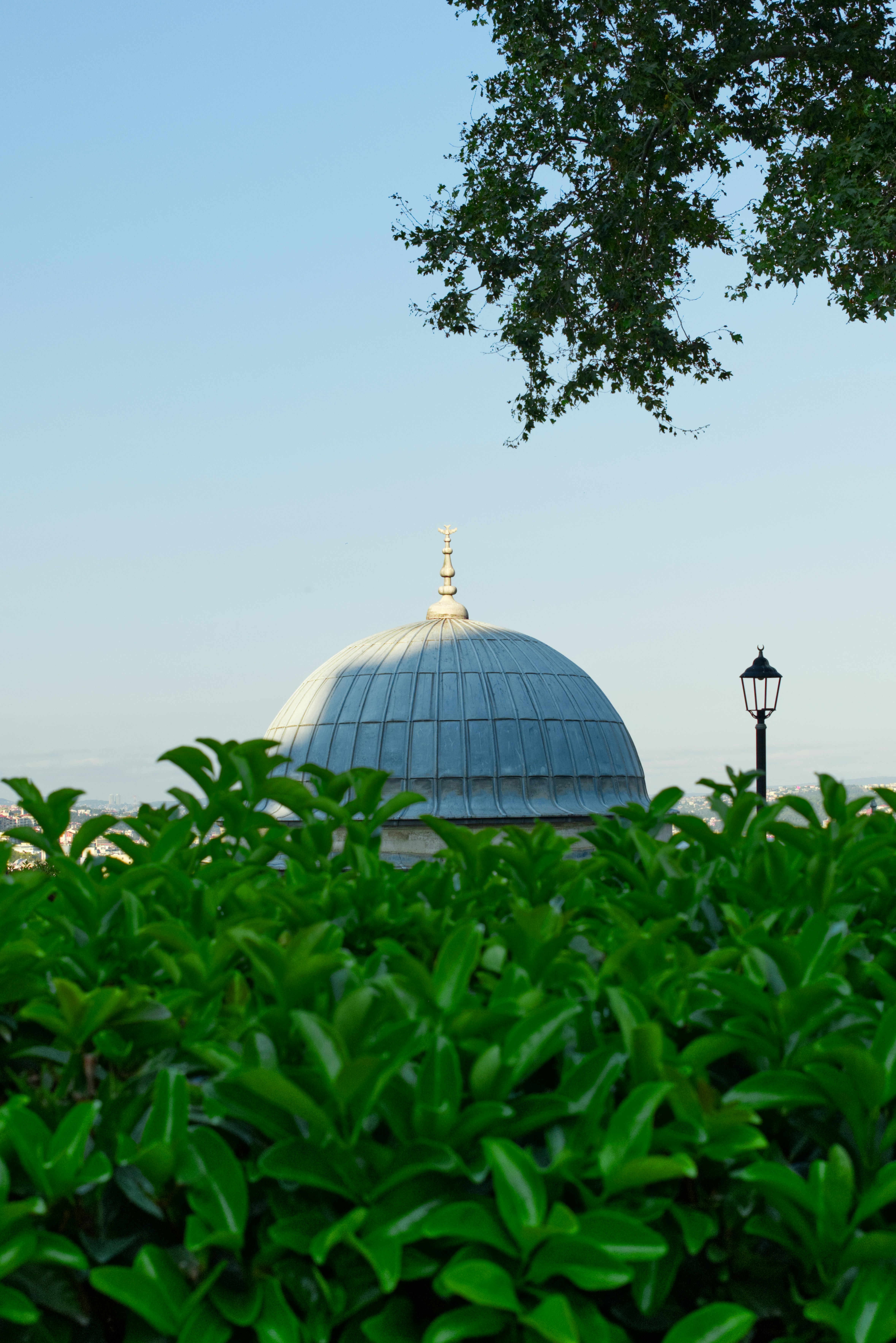Hidden Dome Above the Hedge Line