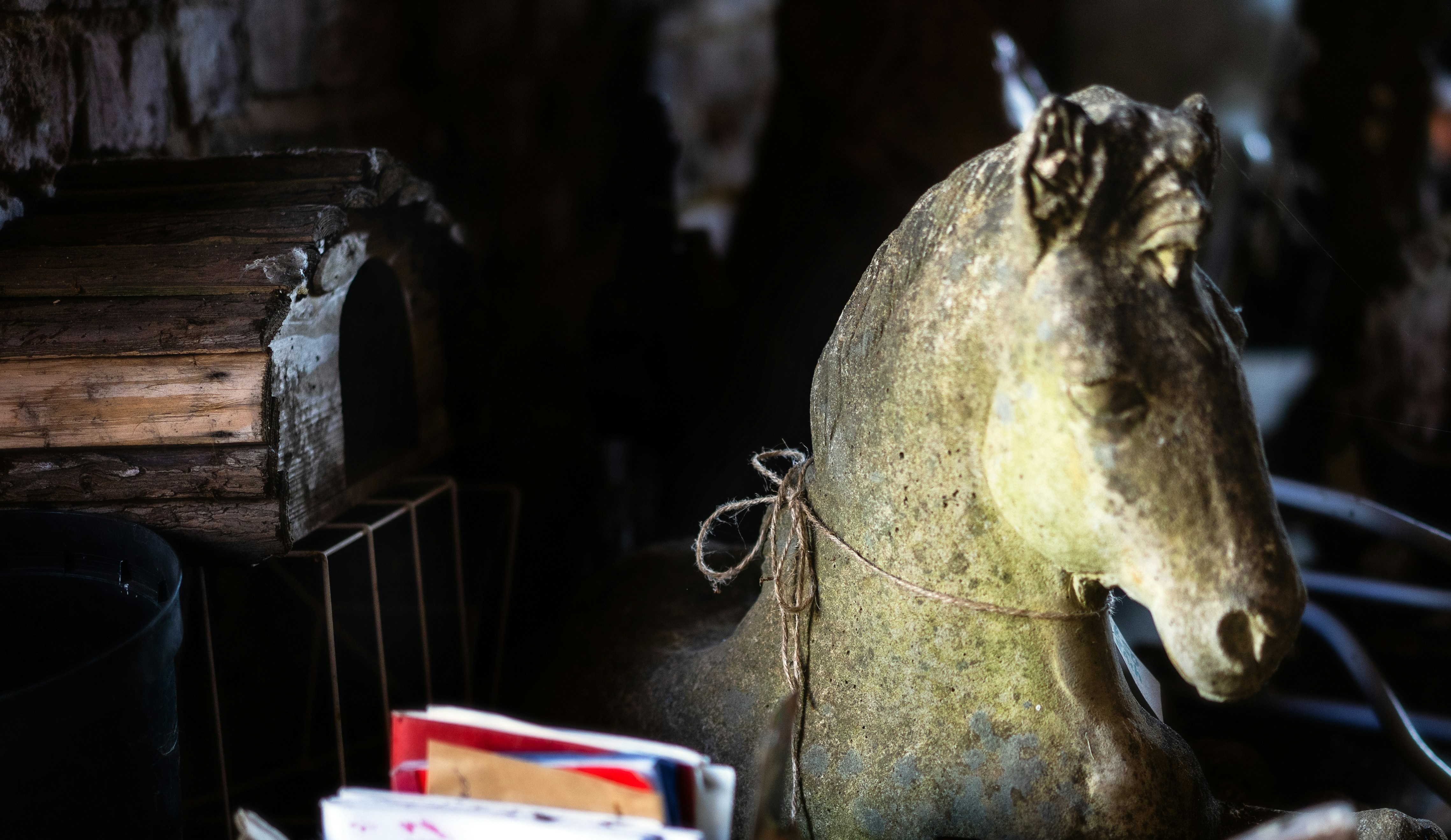 Weathered Carousel Steed in a Quiet Rustic Space