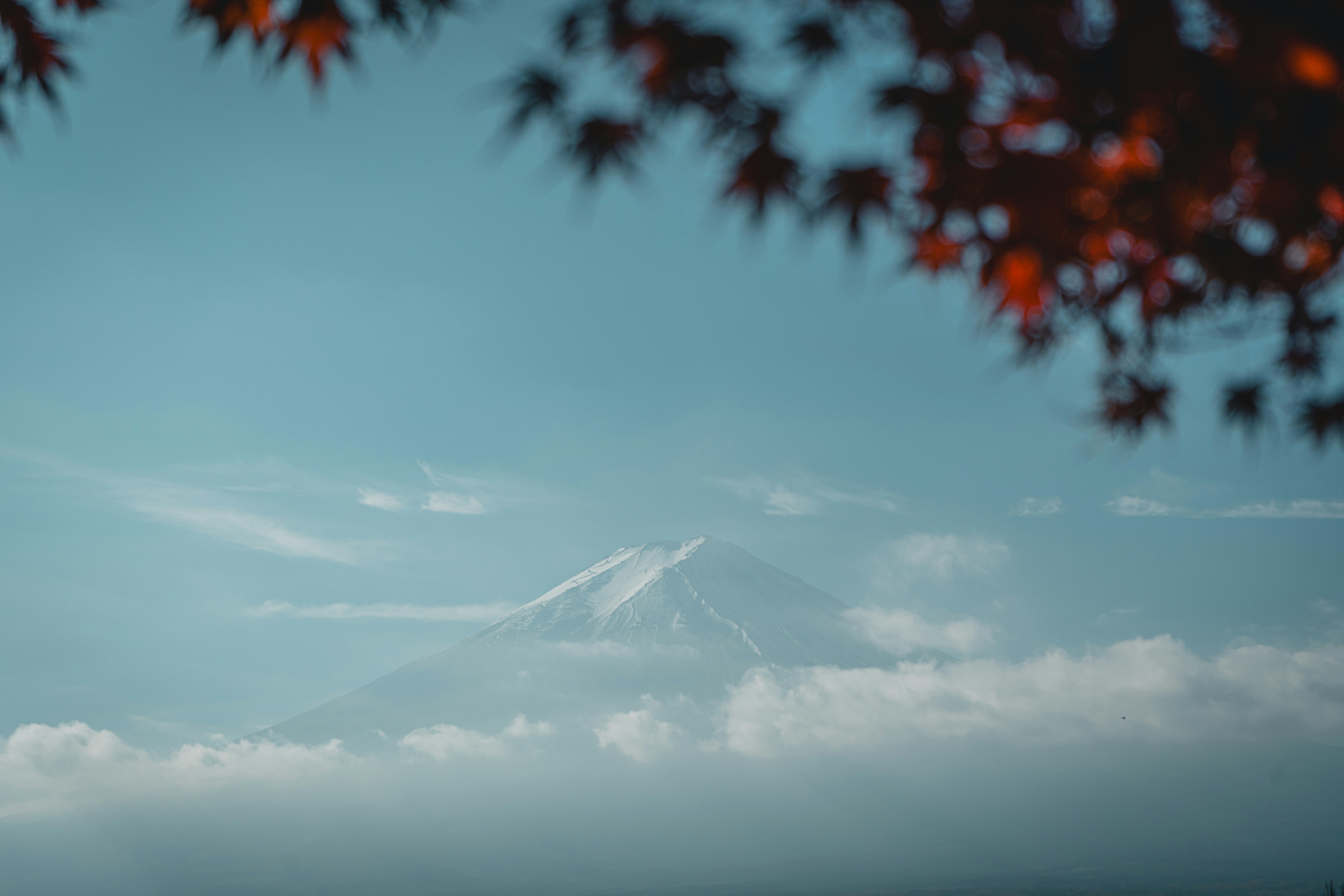 Mist-shrouded summit: Mount Fuji through a border of autumn leaves