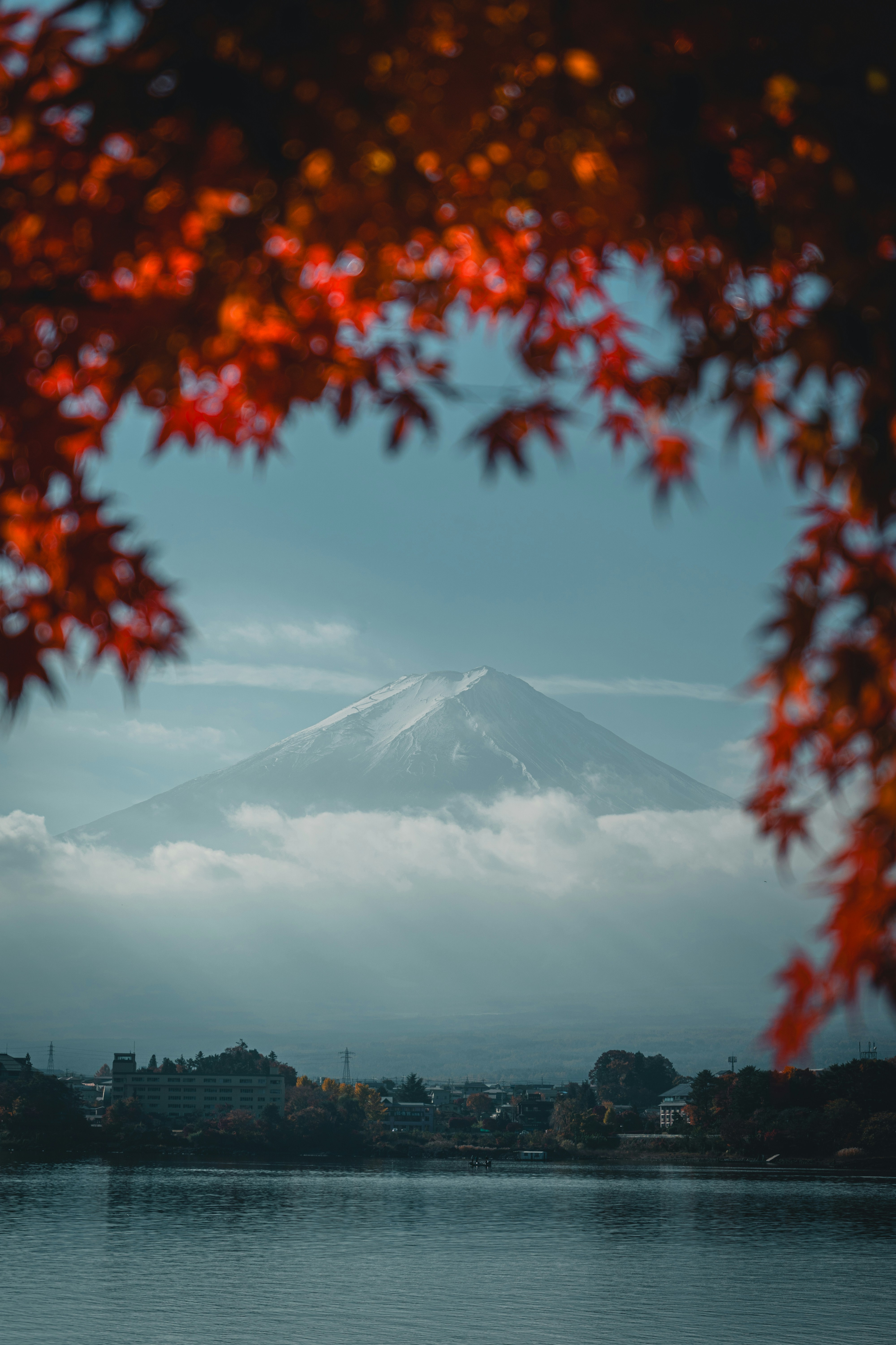 Mt. Fuji Emerges Through Crimson Fringed Canopy Over a Quiet Lake