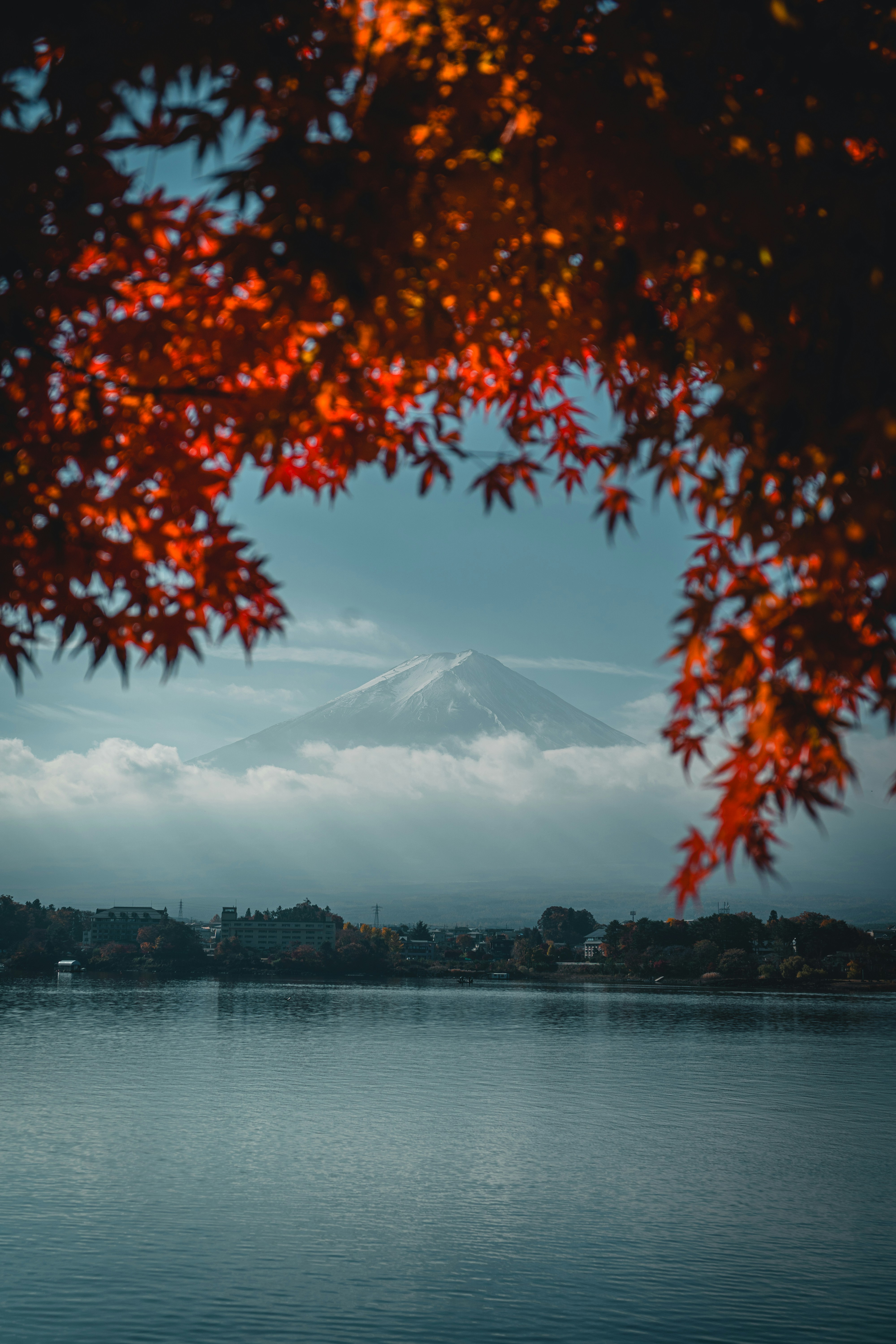 Crimson Maple Canopy Framing Mount Fuji's Quiet Majesty