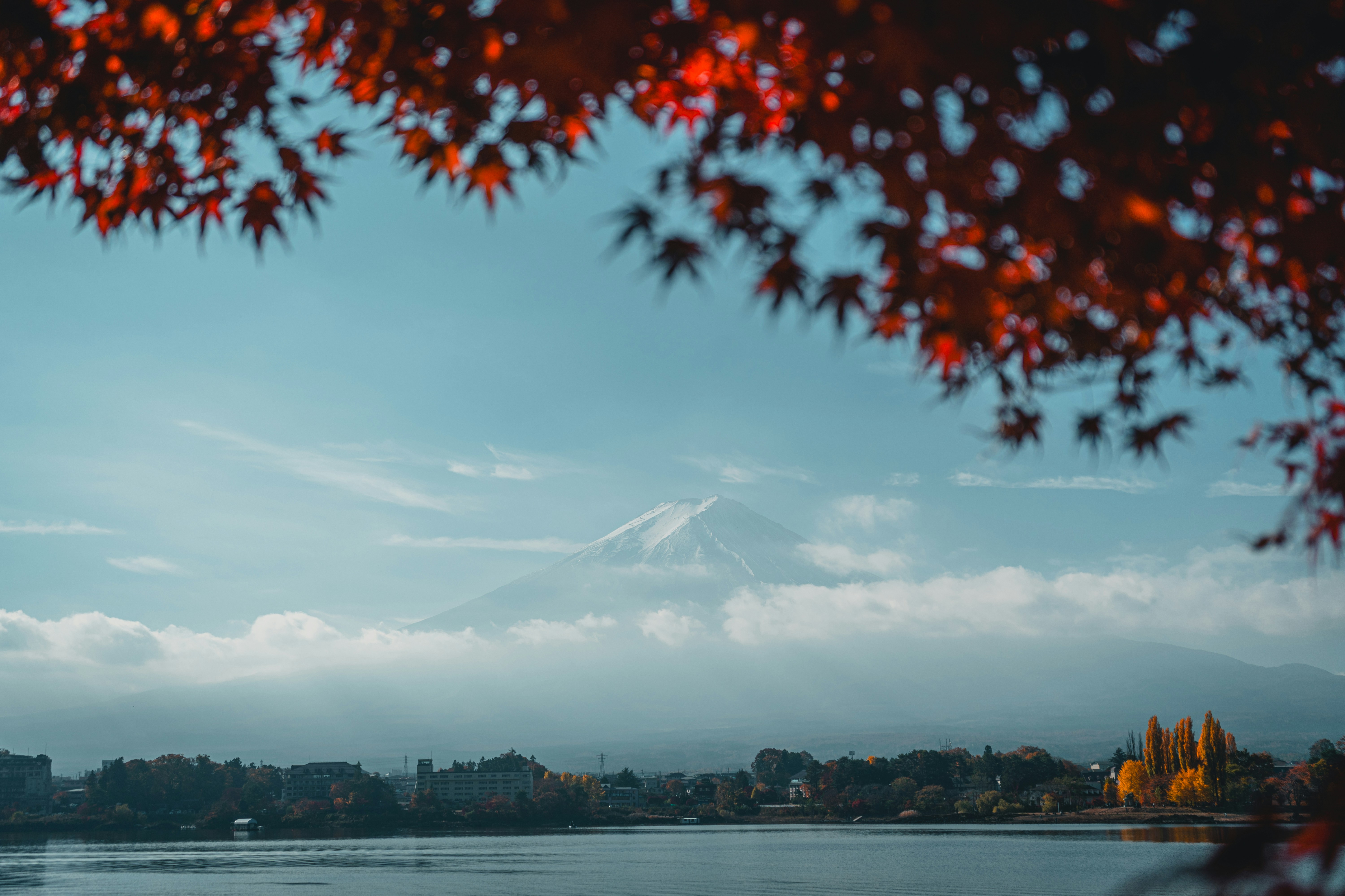 Autumnal Overlook: Red Leaves Framing a Quiet Lake and Distant Volcano