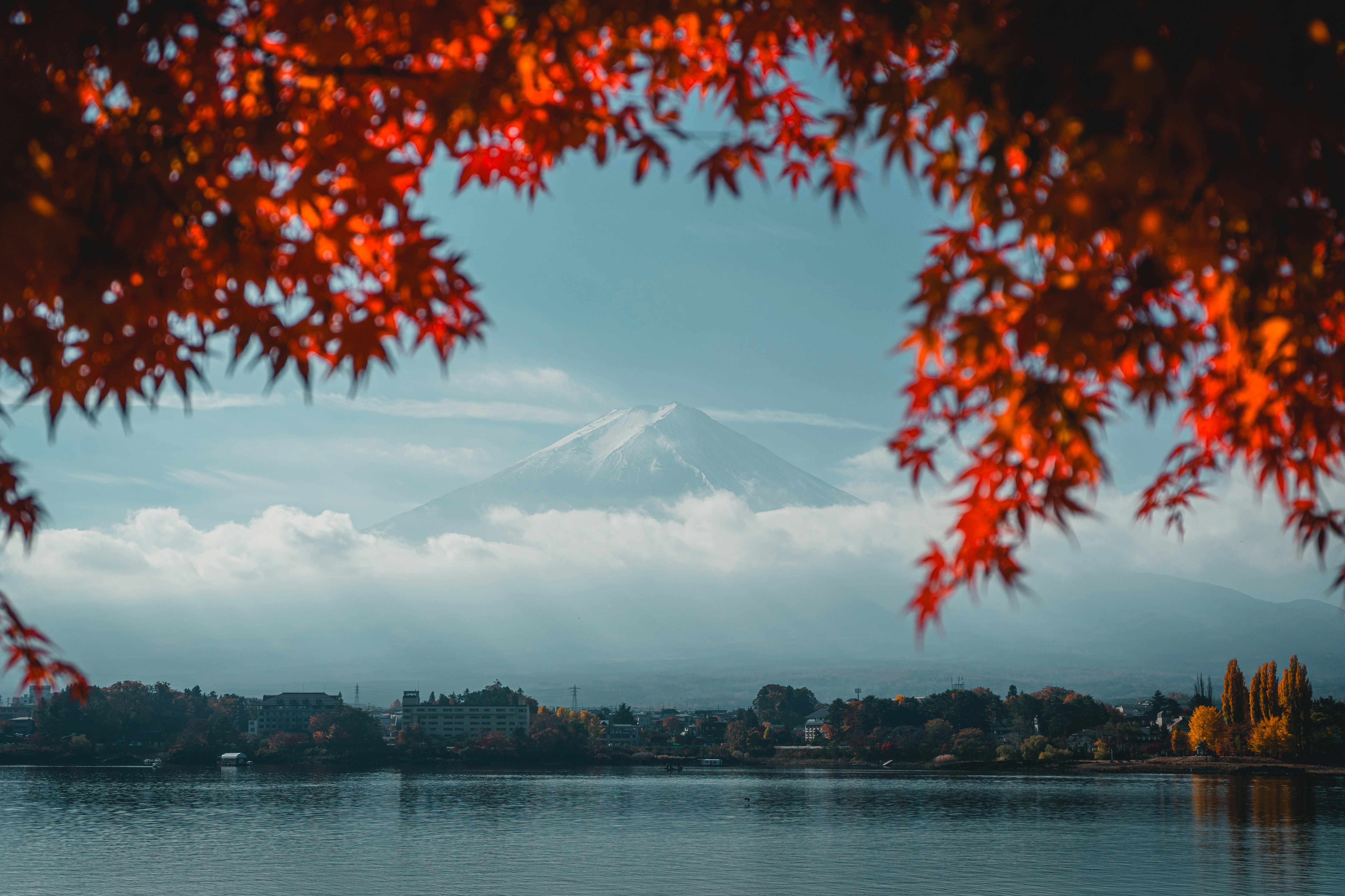 Mt. Fuji’s Frame: Crimson Maple Overlook over a Serene Lake