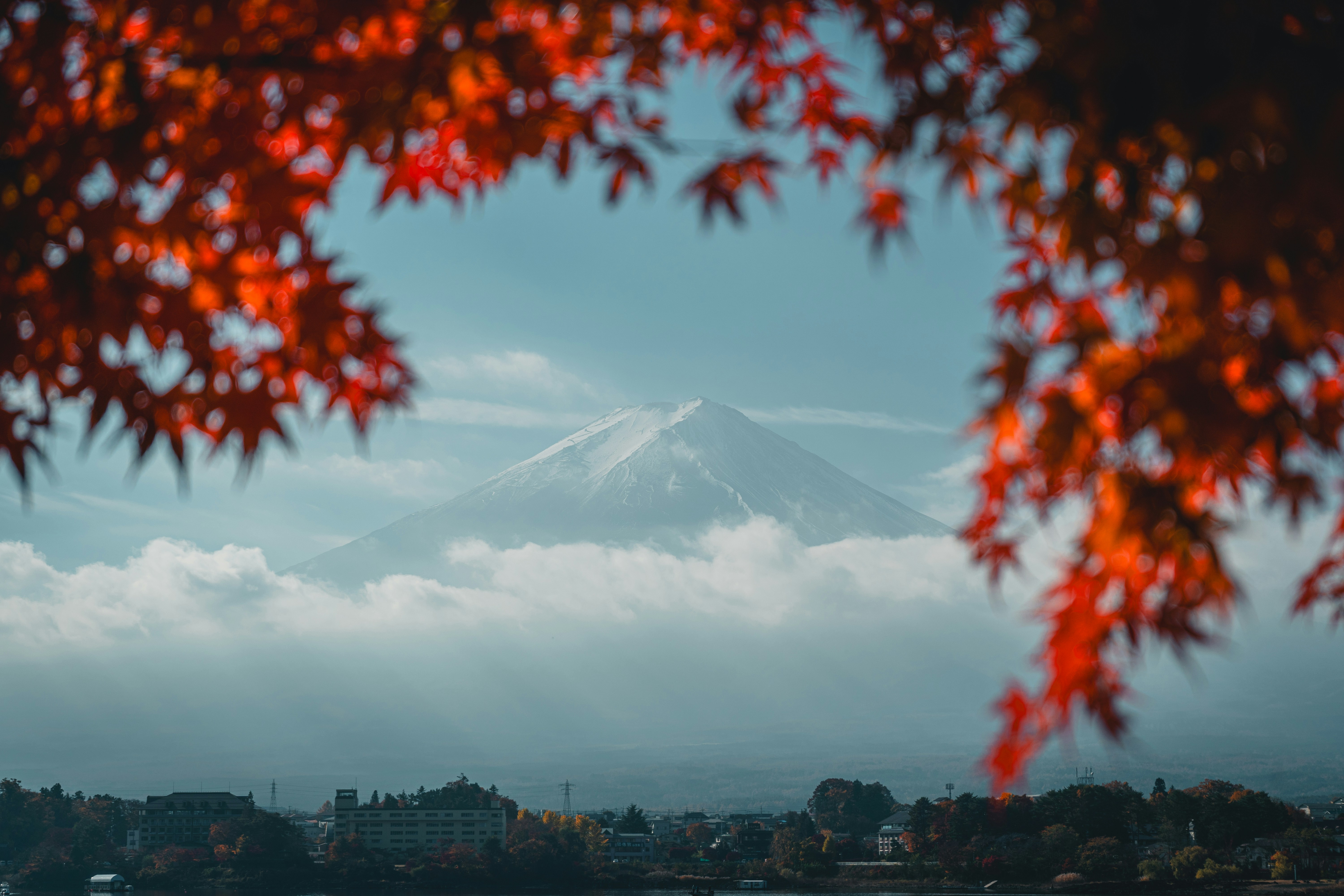 Mt. Fuji Emerges Through Autumn Frame